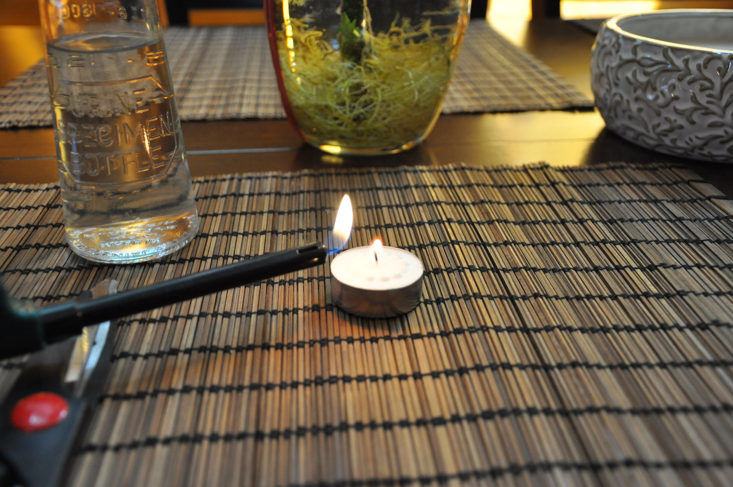 Cloning Your Bamboo : 7 Steps (with Pictures) - Instructables