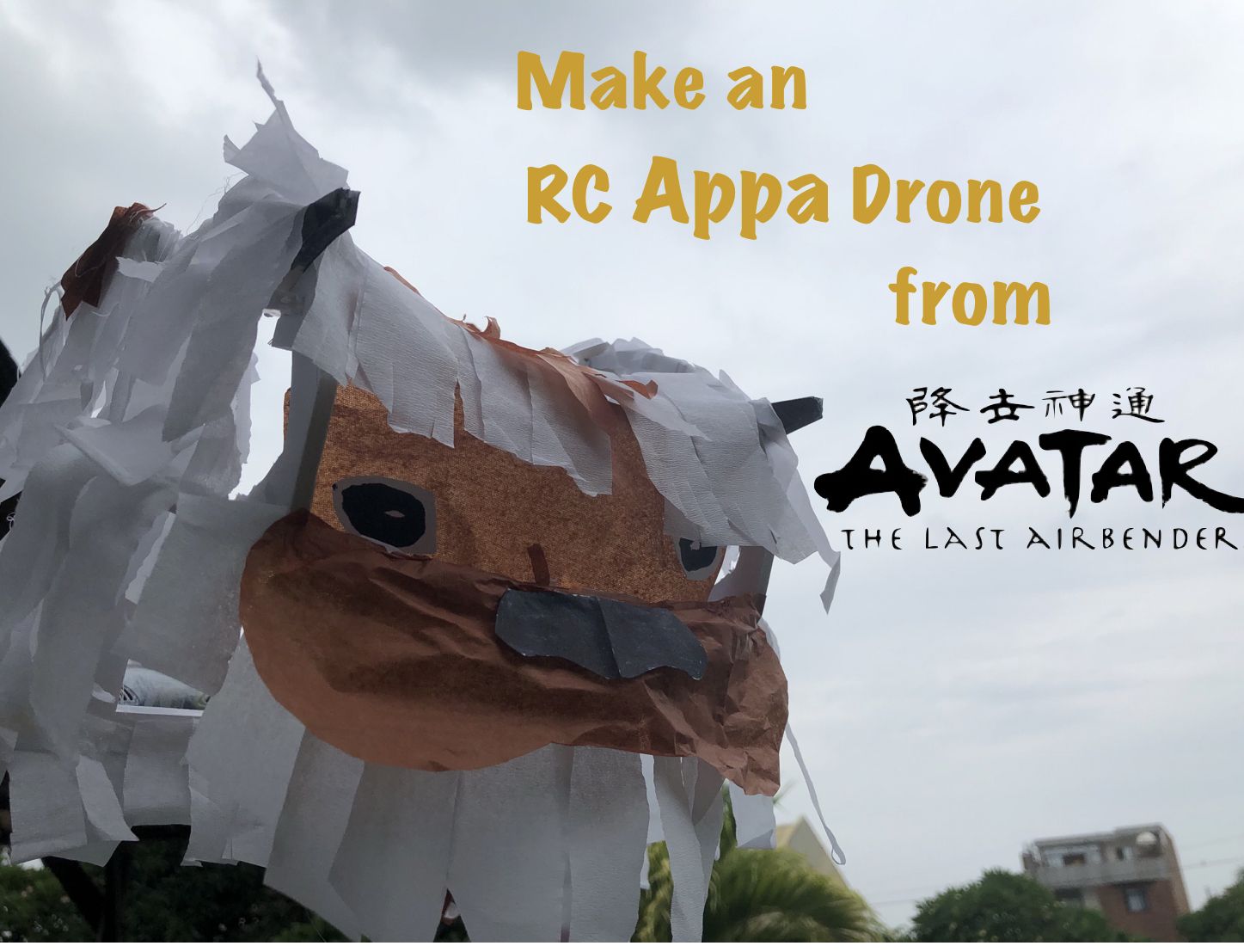 Make a Flying Appa From Avatar: the Last Airbender : 6 Steps ...