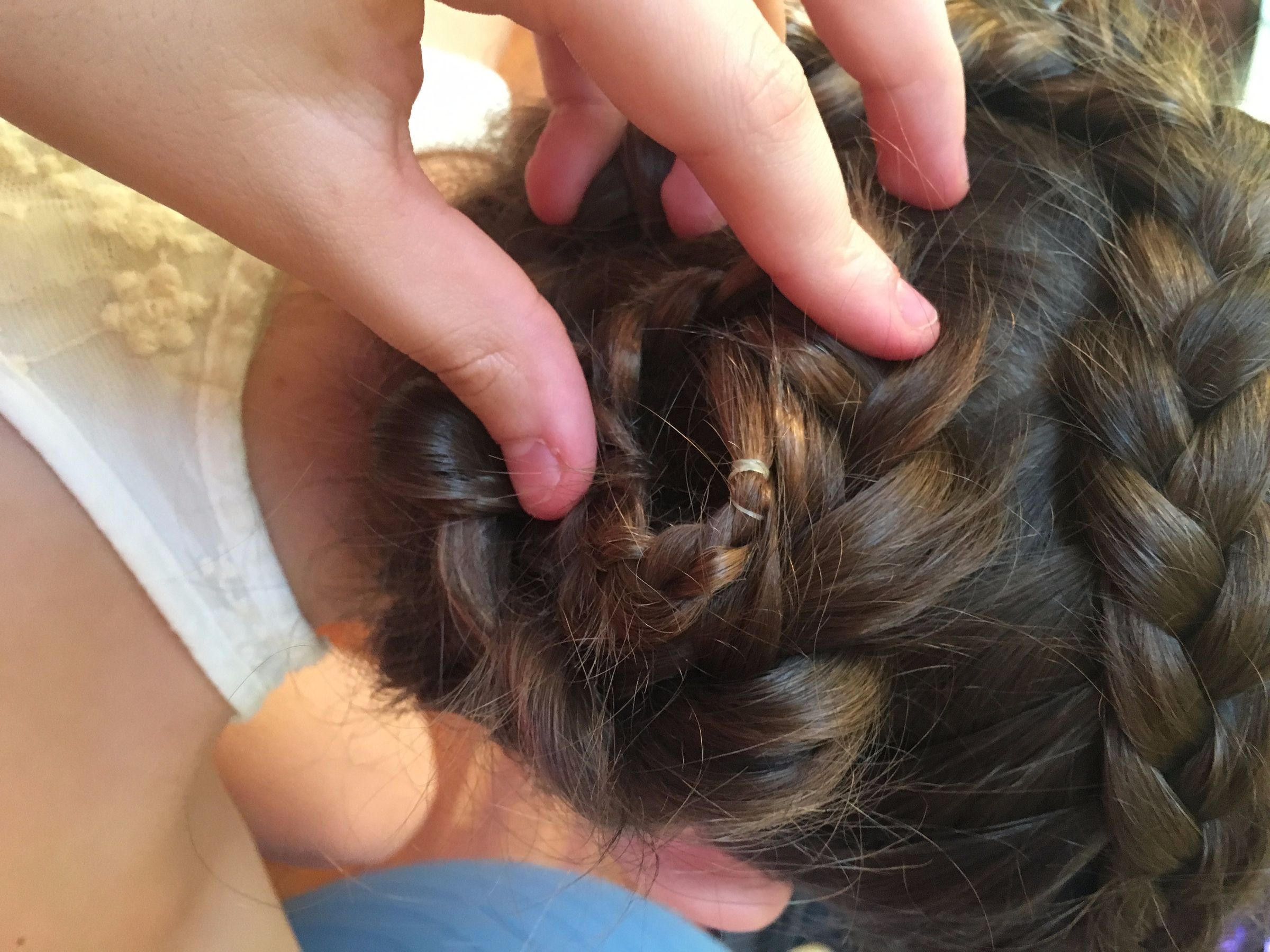 Dutch Flower Braid : 6 Steps (with Pictures) - Instructables