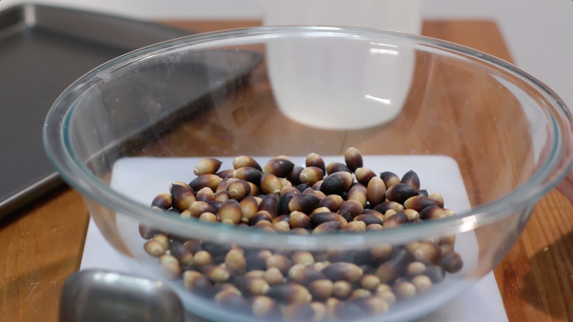 How to Process Acorns and Make Acorn Flour : 8 Steps (with Pictures ...