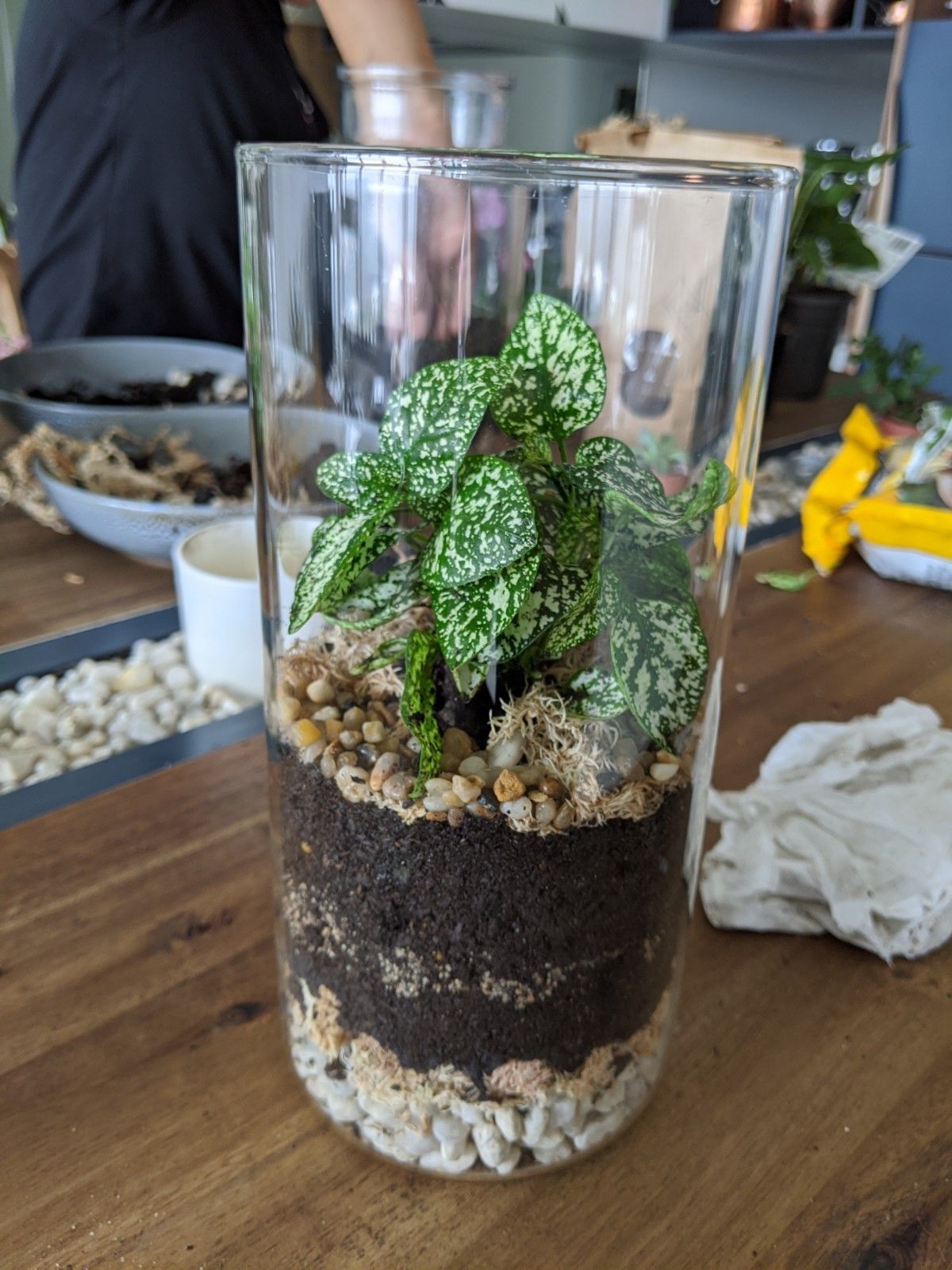 IoT-Terrarium : 6 Steps (with Pictures) - Instructables