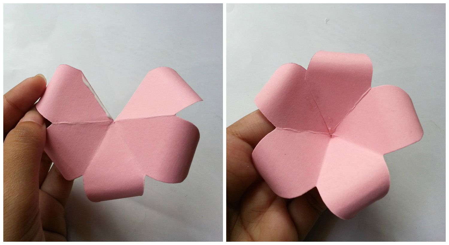 DIY Paper Flowers (Folding Tricks) : 5 Steps (with Pictures ...
