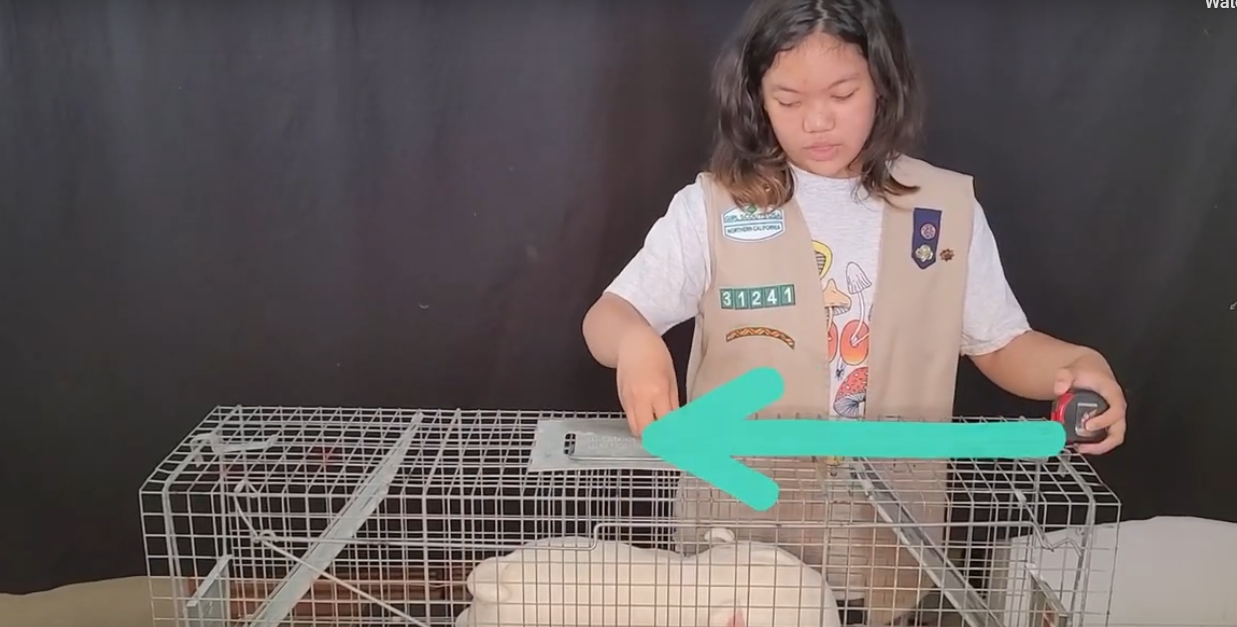 How to Measure a Tnr Trap, Make a Sewing Pattern and Sew Tnr Trap Cover : 9 Steps (with Pictures ...
