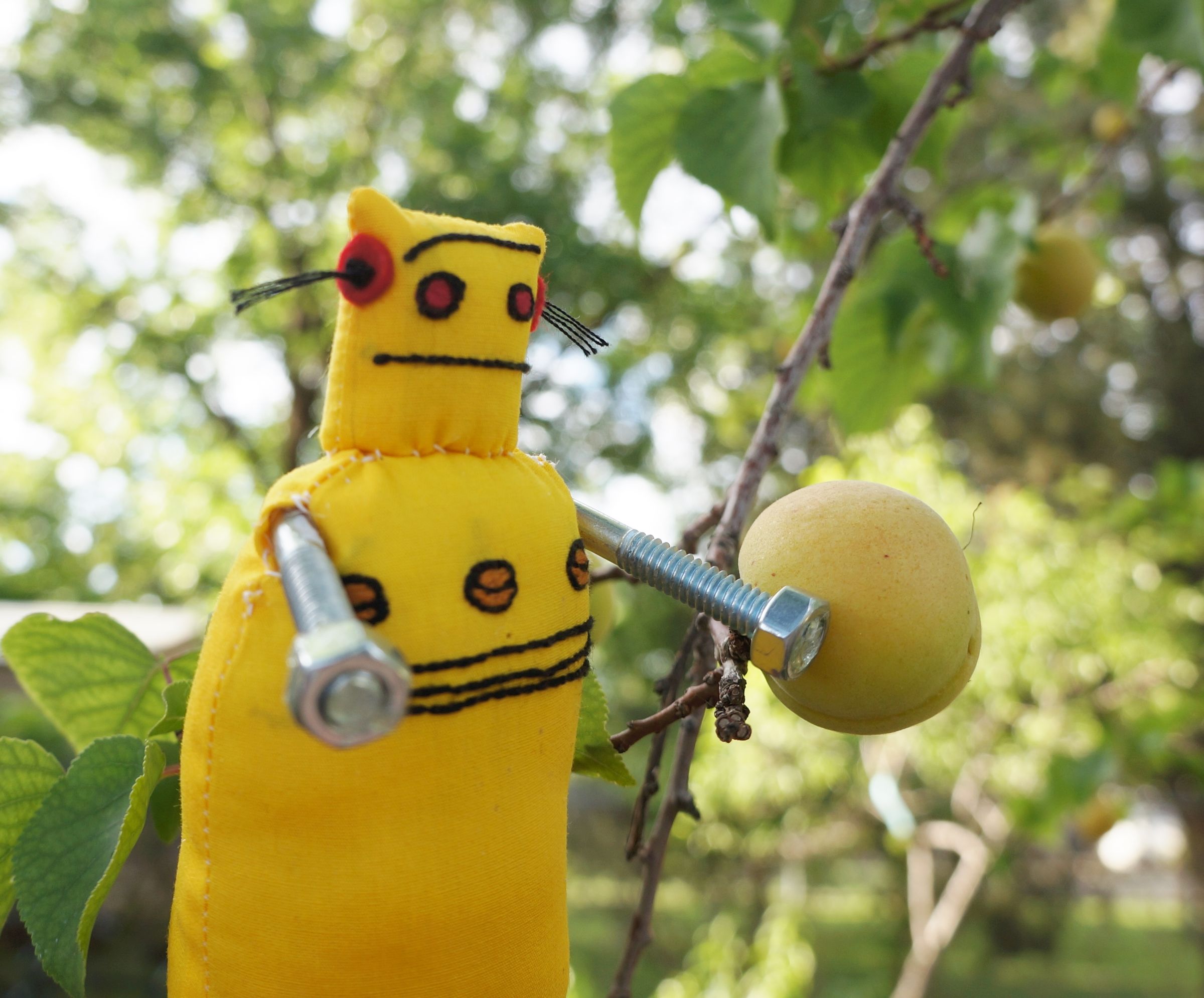 Instructables Site Robot : 8 Steps (with Pictures) - Instructables