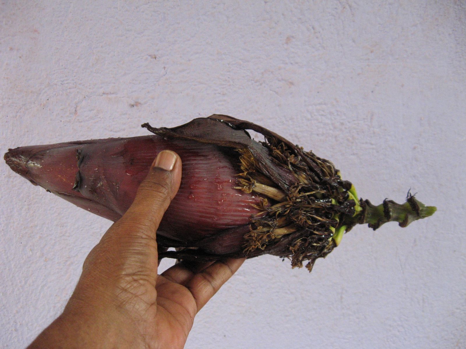 How to Make Banana Flower Stew : 10 Steps (with Pictures) - Instructables