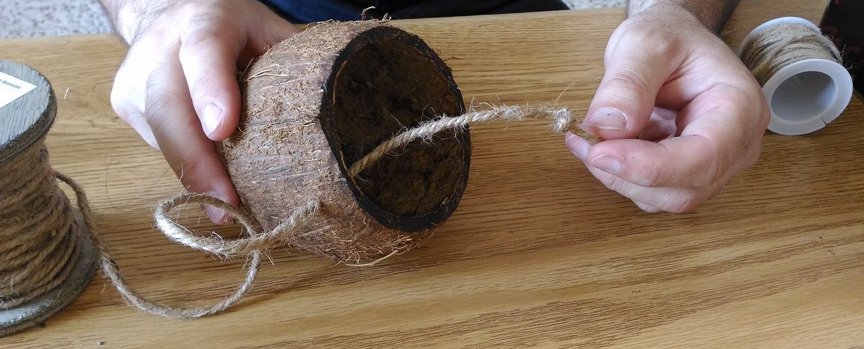 Coconut Pots : 4 Steps (with Pictures) - Instructables