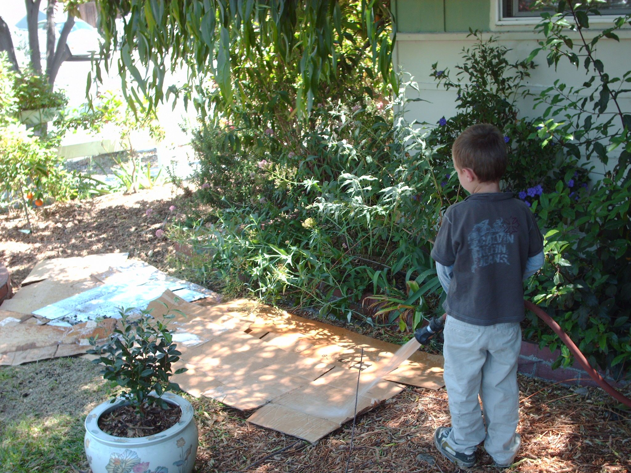 Drought Tolerant Front Yard - Converting Lawn to Soil : 8 Steps (with ...