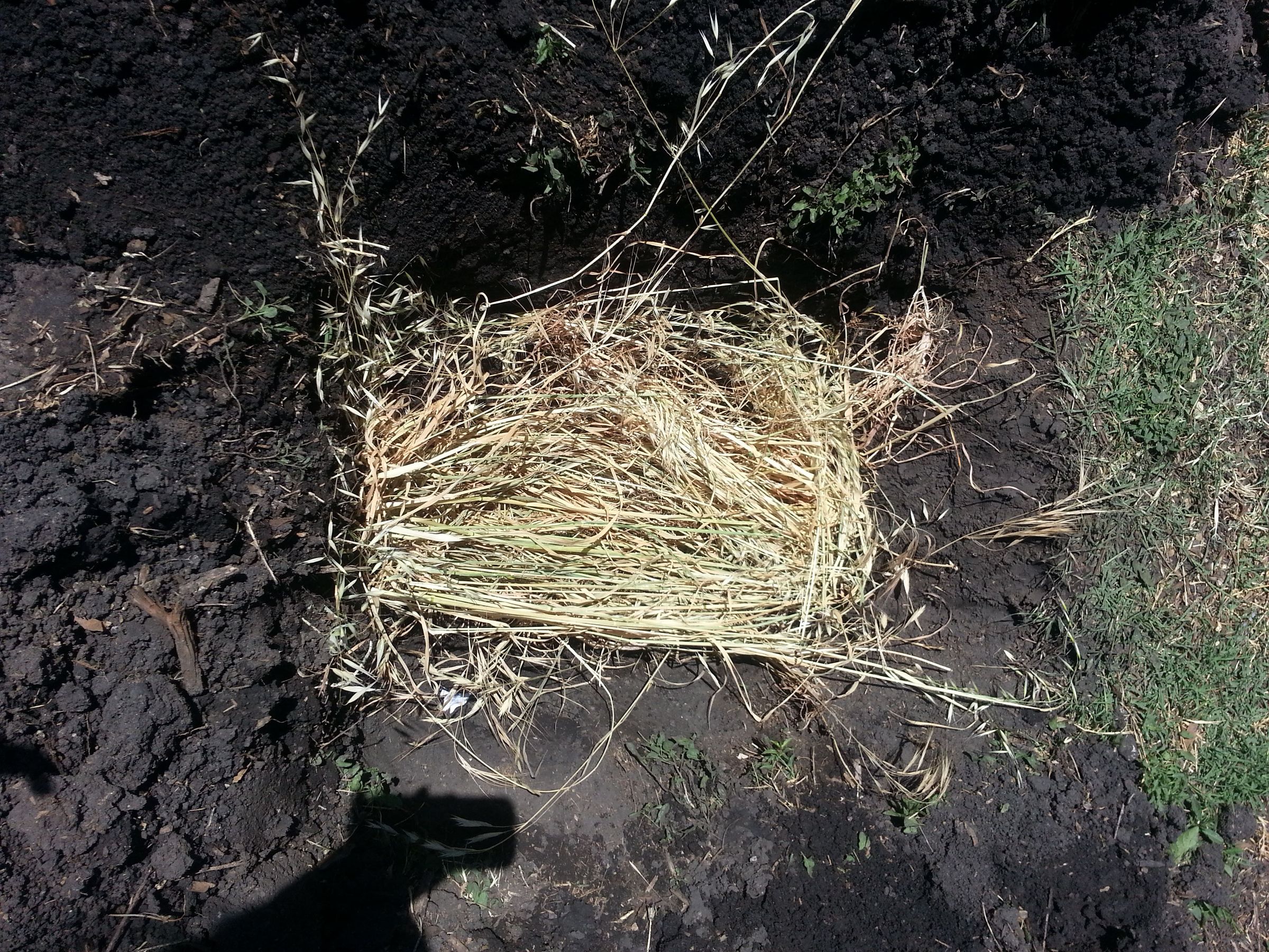 Sheet Mulching : 12 Steps - Instructables