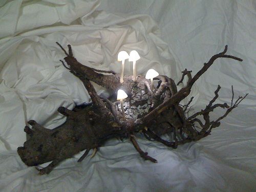 Luminous Mushroom Night Light : 4 Steps (with Pictures) - Instructables