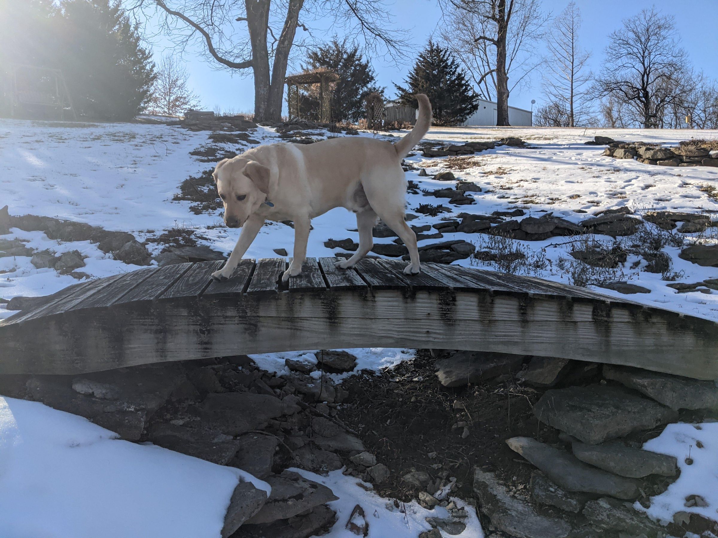 Bridge Arch Support Cut From One Board : 15 Steps - Instructables