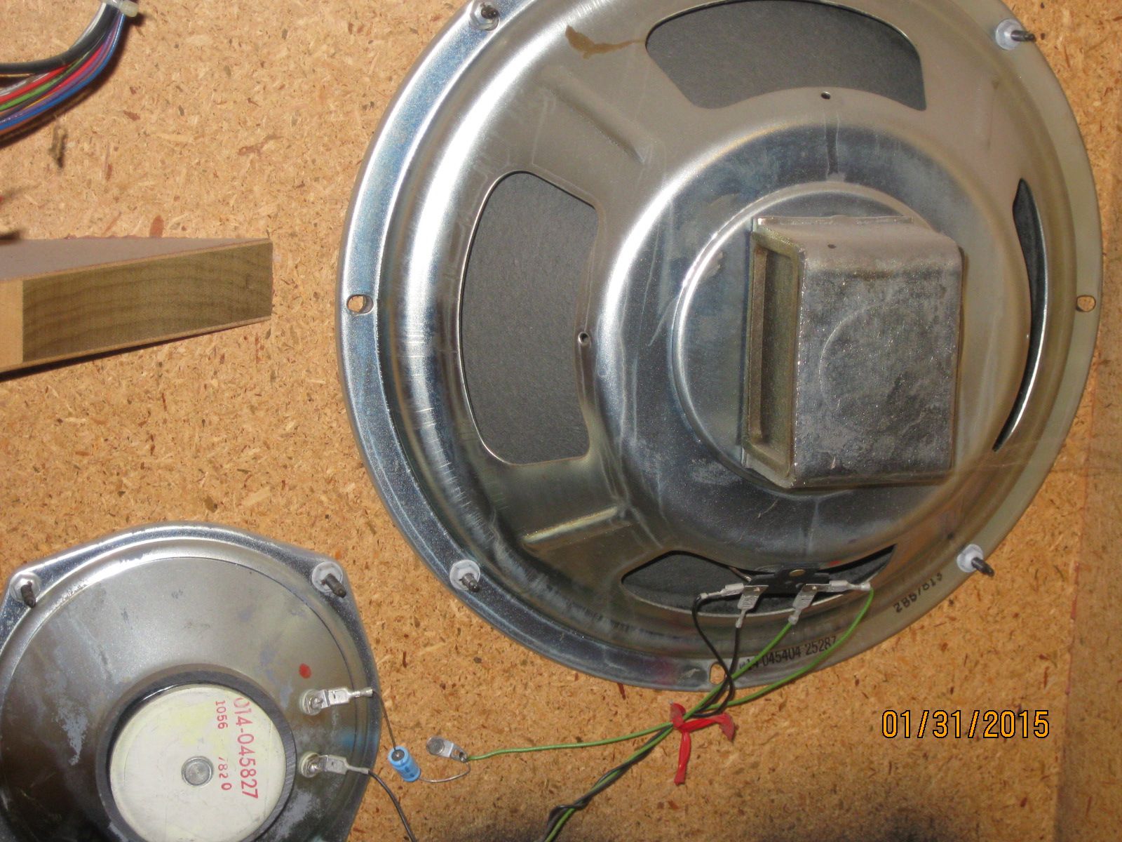 The Organ Donor Project- the Dissection : 5 Steps - Instructables