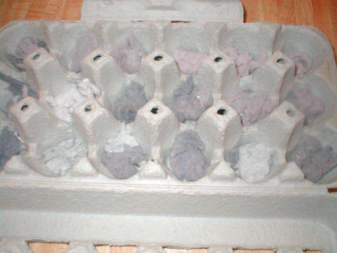 My Take on the Classic Egg Carton Fire Starter : 6 Steps - Instructables