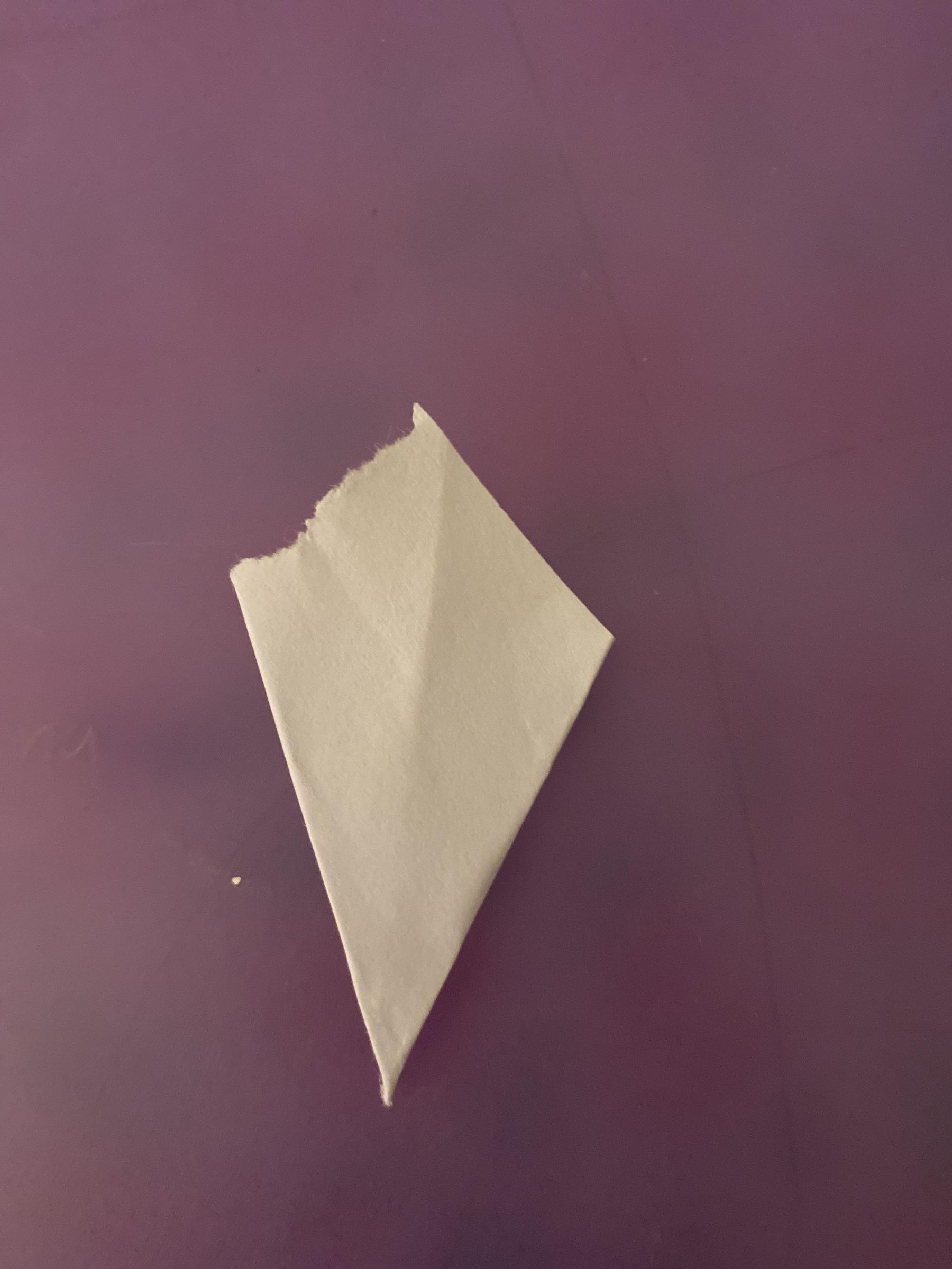 Origami Rat : 27 Steps - Instructables