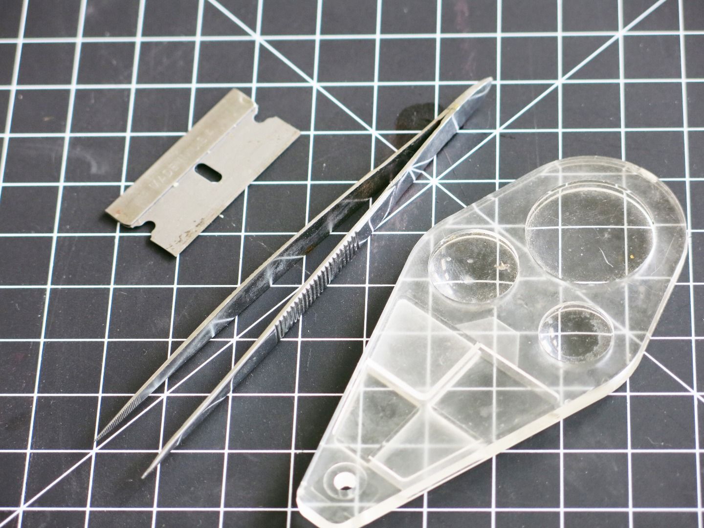 Squid Dissection : 11 Steps (with Pictures) - Instructables