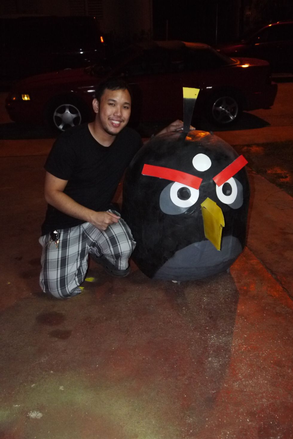 Black Angry Bird Costume