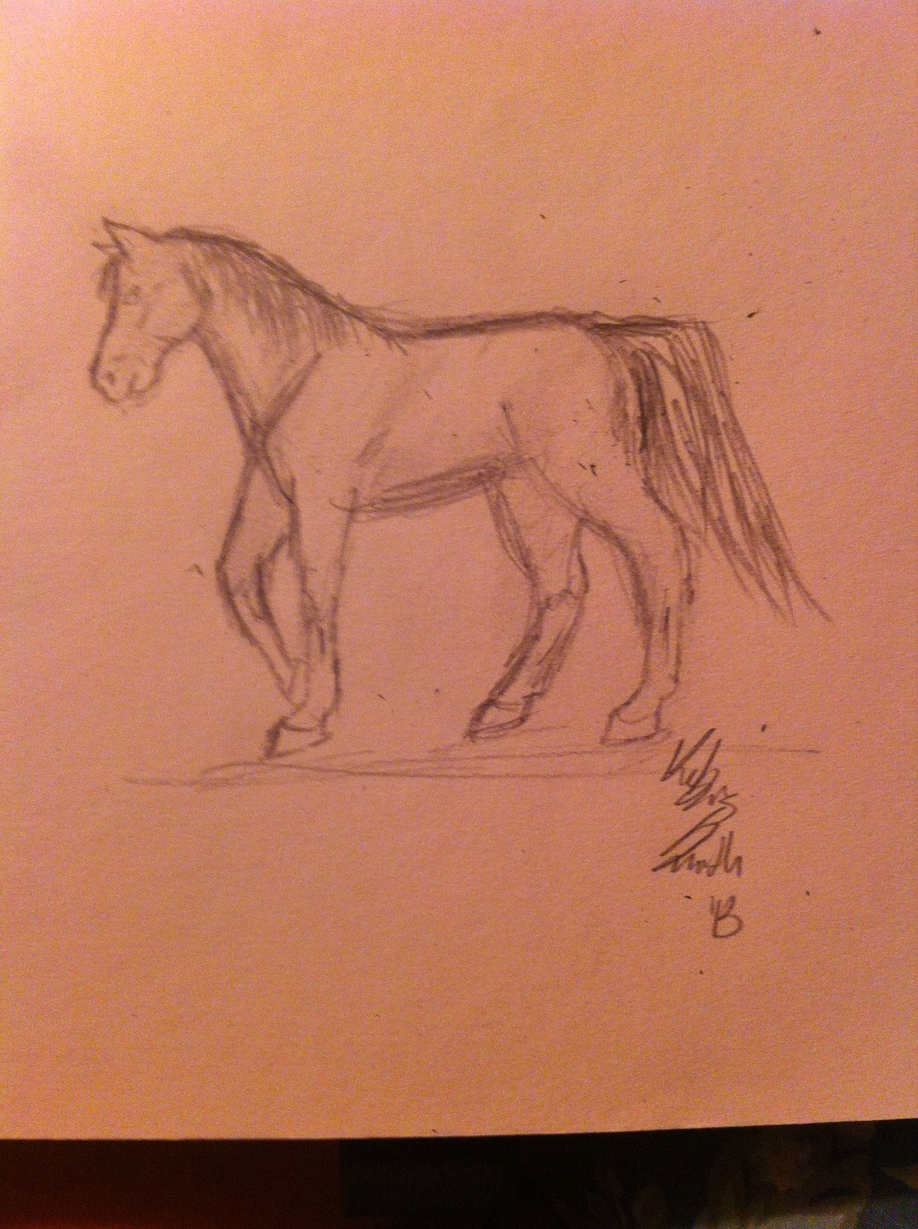 How to Draw a Simple Horse : 5 Steps - Instructables
