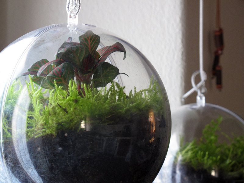 A Garden Inside a Ball - Christmas Time : 19 Steps (with Pictures ...