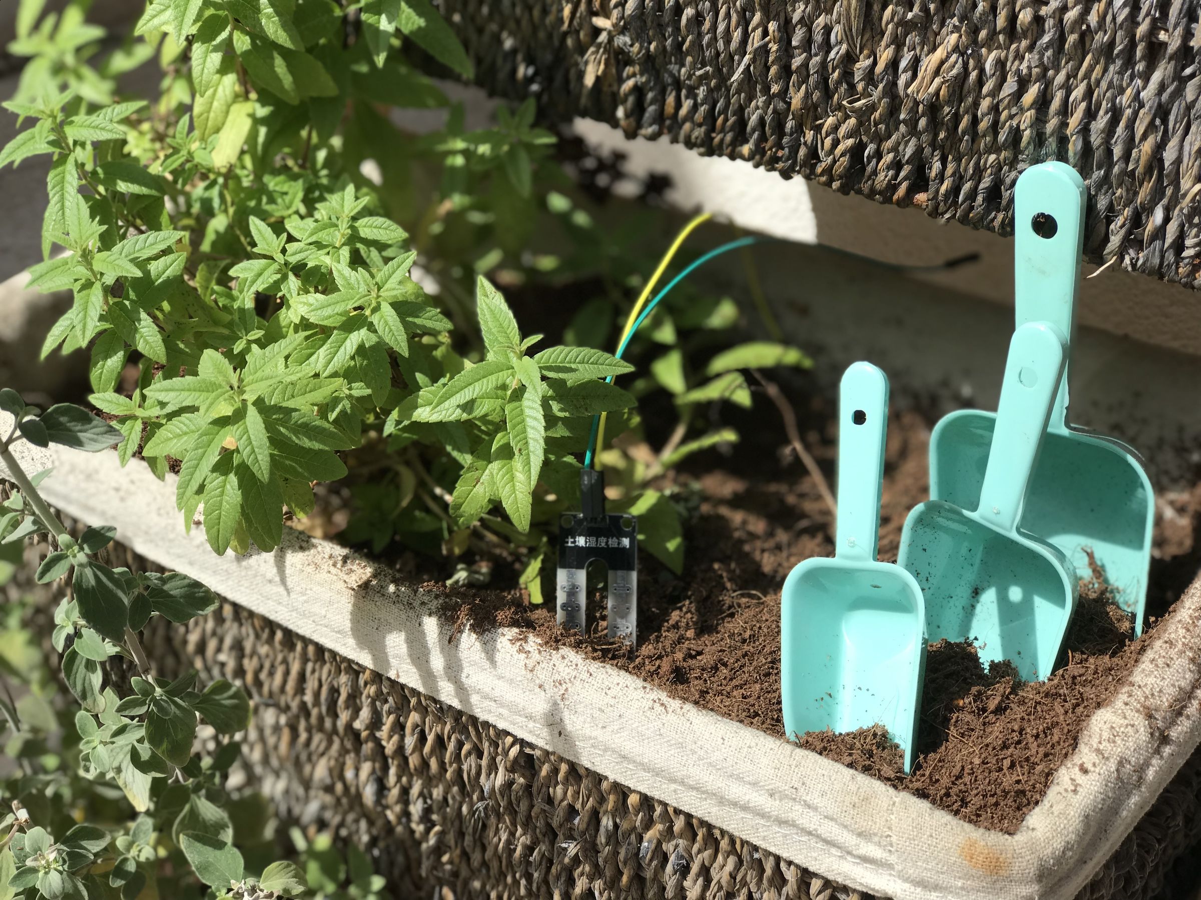 Garduino – the Smart Garden With Arduino : 4 Steps (with Pictures ...