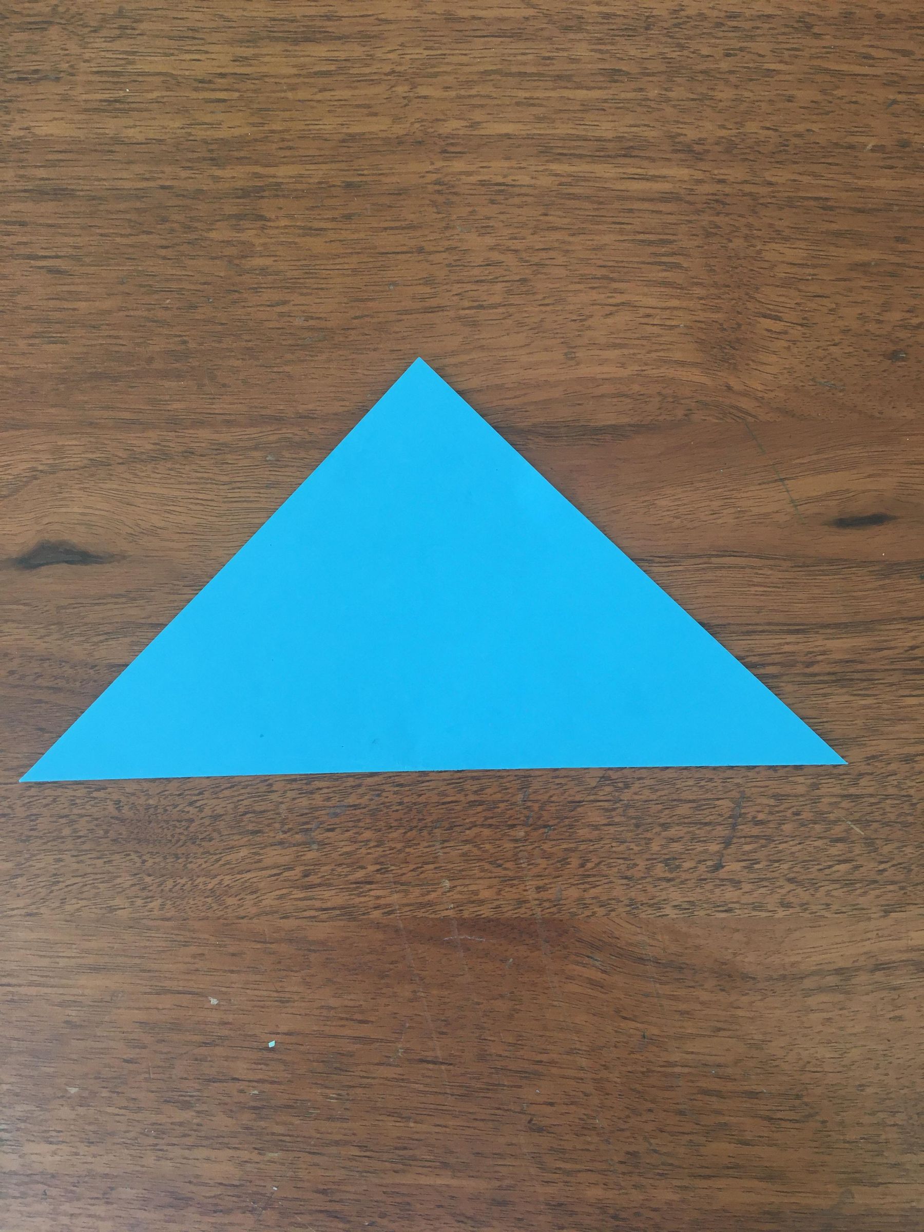 Simple Origami Bird : 6 Steps (with Pictures) - Instructables