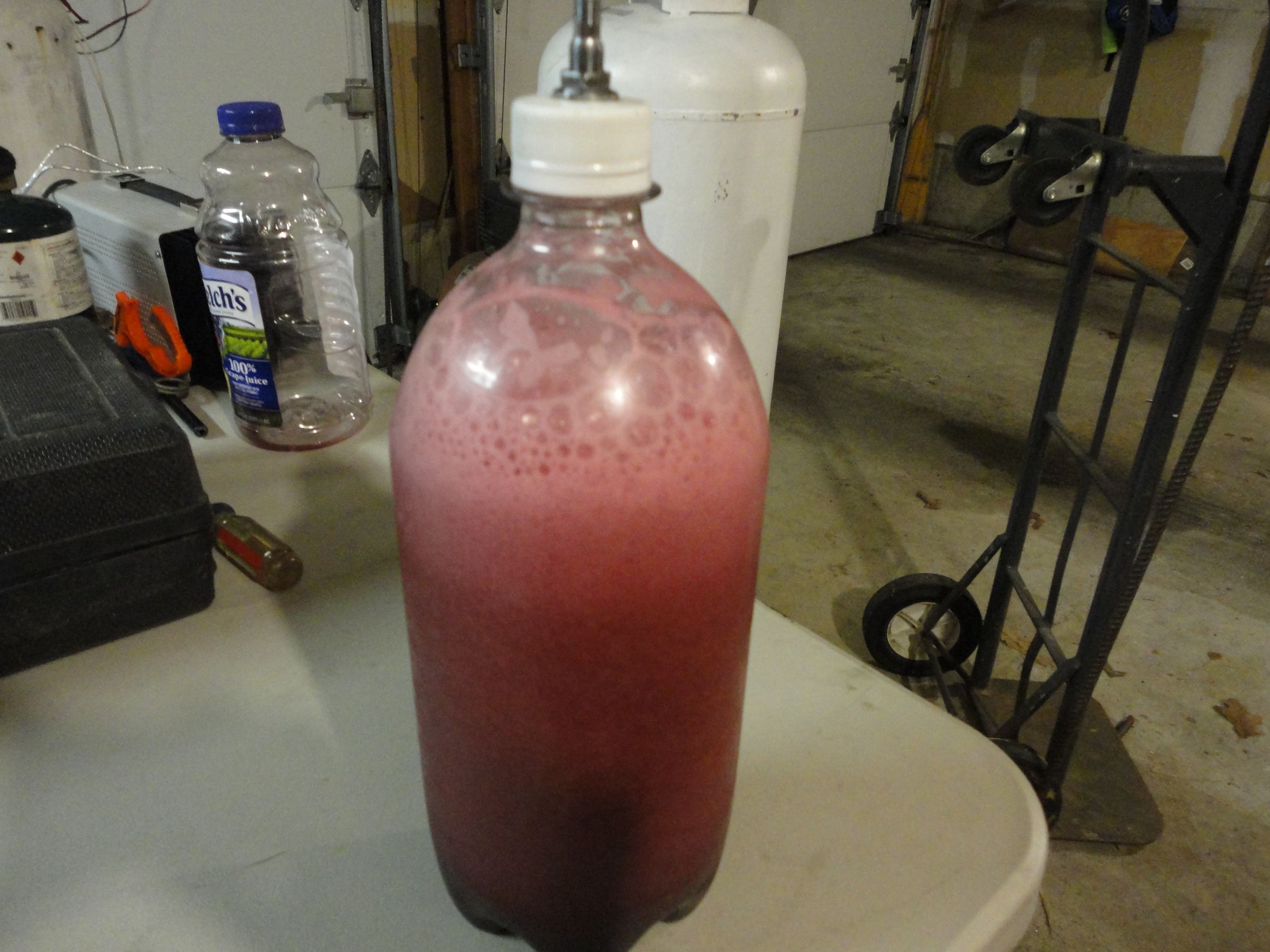 How to Carbonate Nearly Anything: Make Your Own Carbonated Fruit and ...