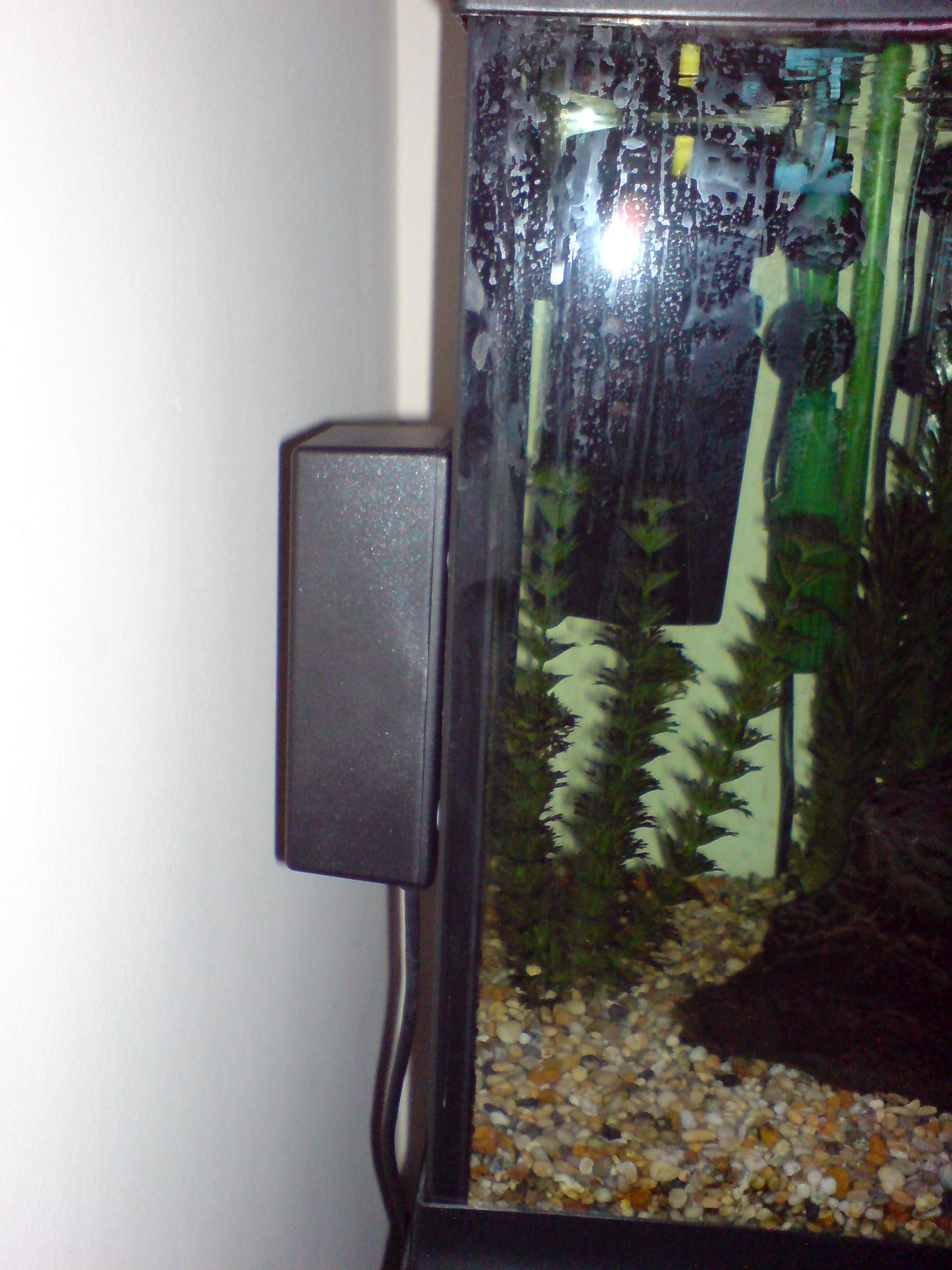Making an Online Fish Tank Webcam! : 8 Steps (with Pictures ...