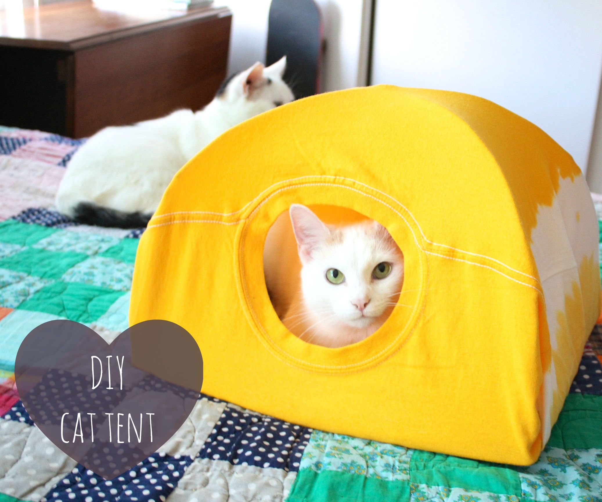 DIY Cat Tent : 9 Steps (with Pictures) - Instructables
