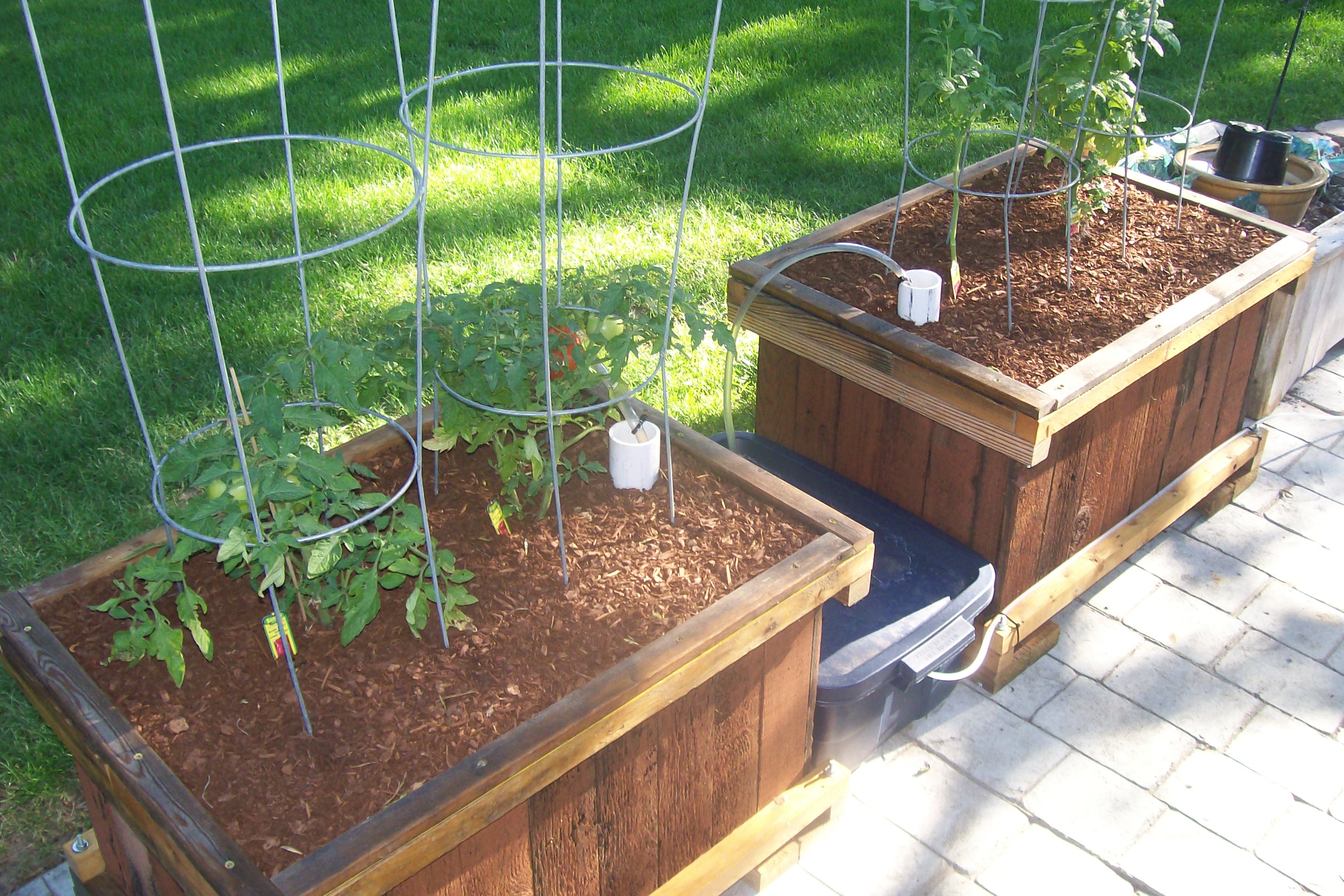 How to Build Your Own Growing Containers : 13 Steps - Instructables