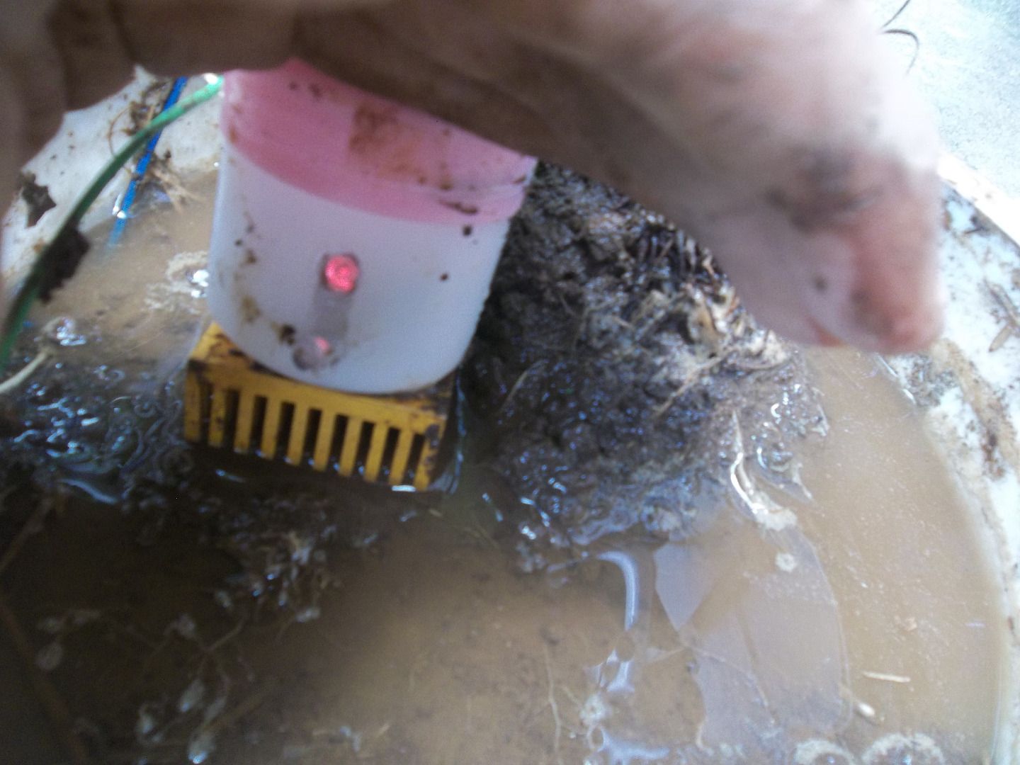 How to Make Bucket Gardening With Water Level Indicator : 7 Steps (with ...