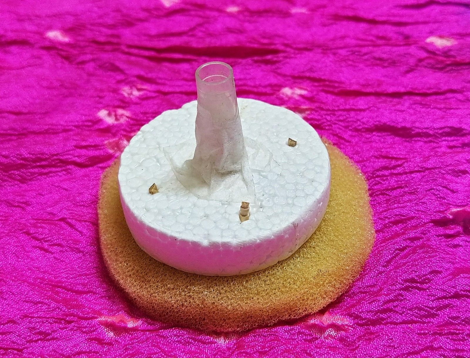 Micro Greens - Perfect for Indoors : 22 Steps (with Pictures ...