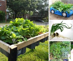 DIY Vegetable Garden - Instructables