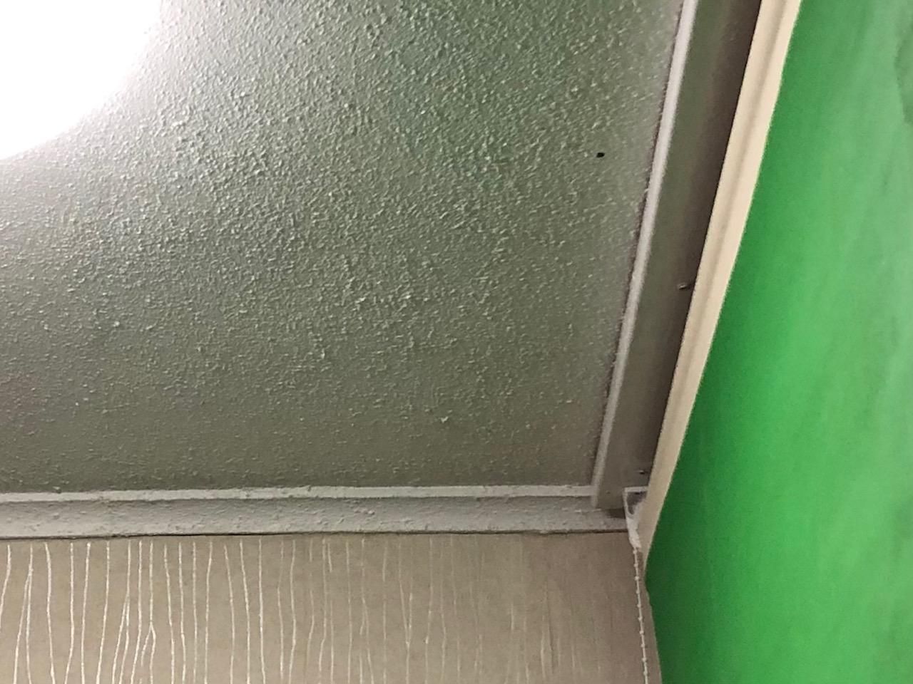 Deluxe Green Screen : 6 Steps (with Pictures) - Instructables