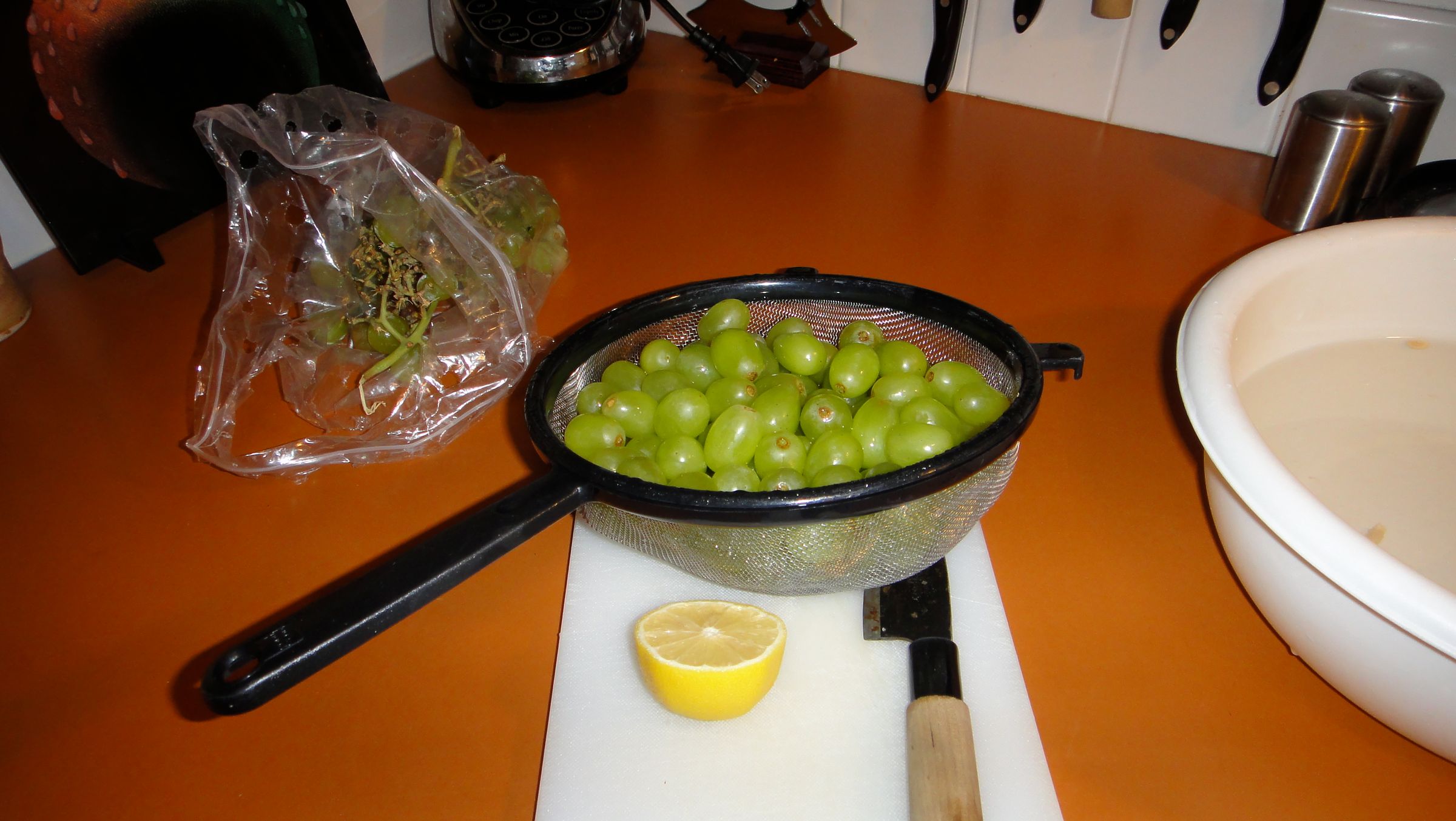 Make Raisins With a Dehydrator : 4 Steps (with Pictures) - Instructables