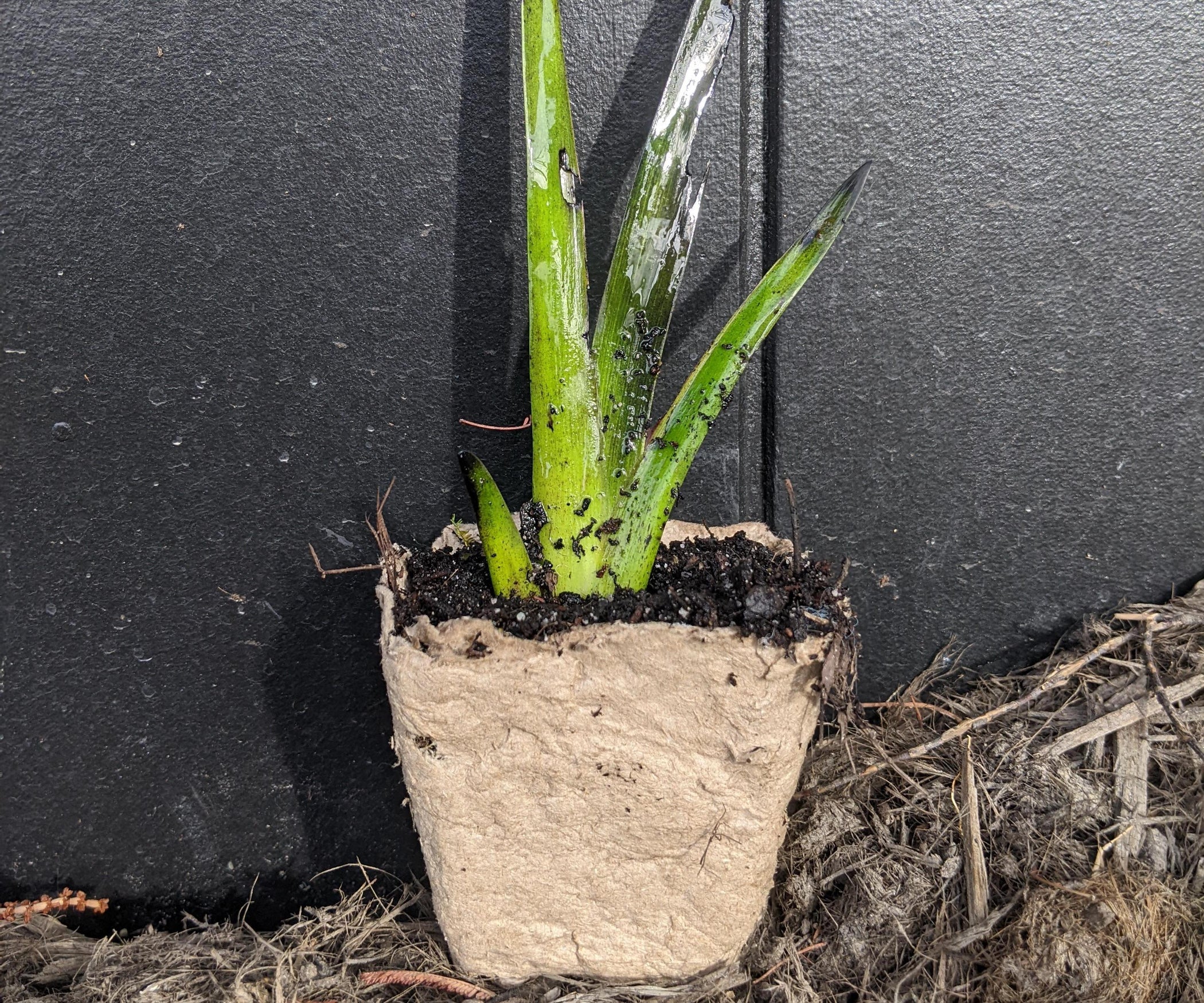 Paper Pulp Pot Mould : 8 Steps (with Pictures) - Instructables