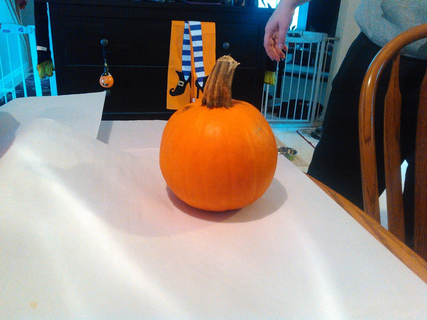 Chomper the Cannibal Pumpkin : 9 Steps (with Pictures) - Instructables