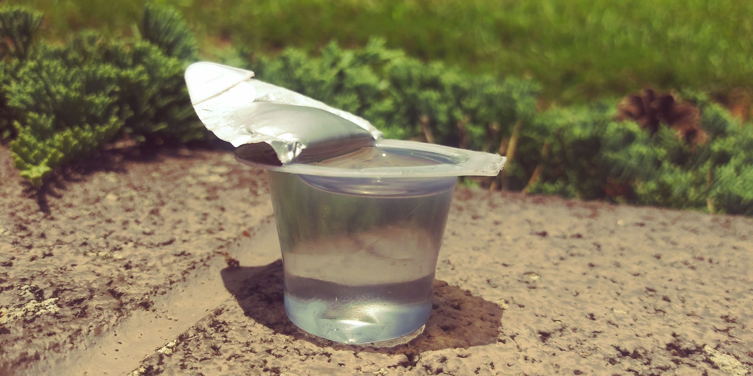 The Secret Pocket Garden : 3 Steps - Instructables