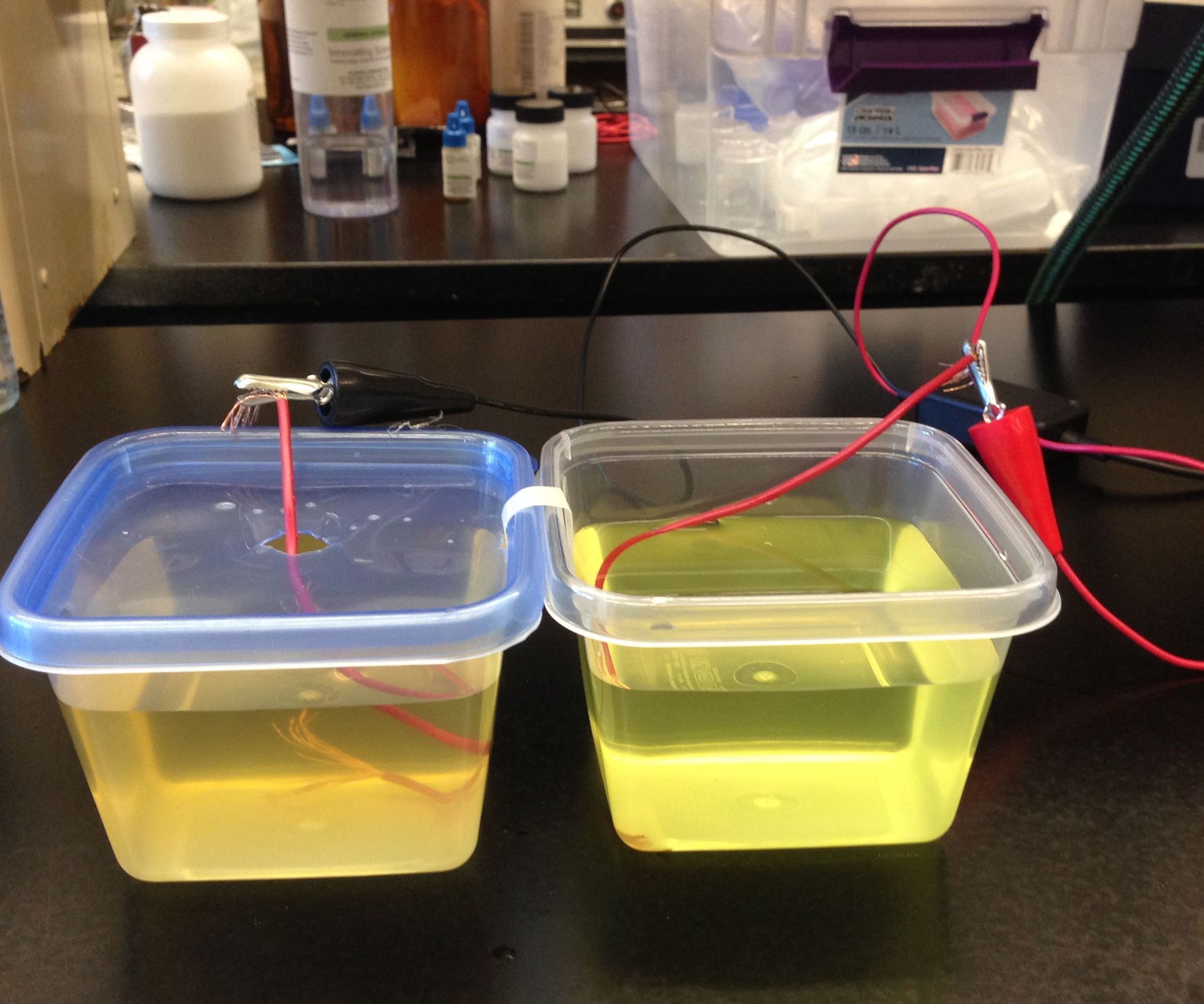 Microbial Fuel Cell Powered by Urine : 4 Steps - Instructables