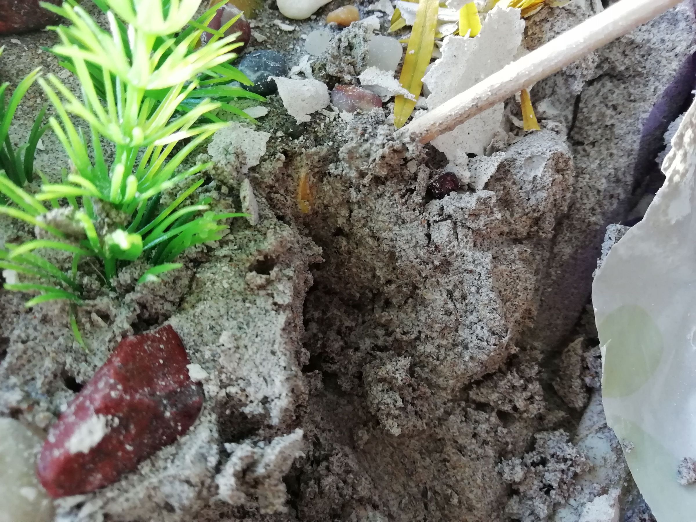 Excavation Kit (educational, DIY, for Kids) : 5 Steps (with Pictures ...