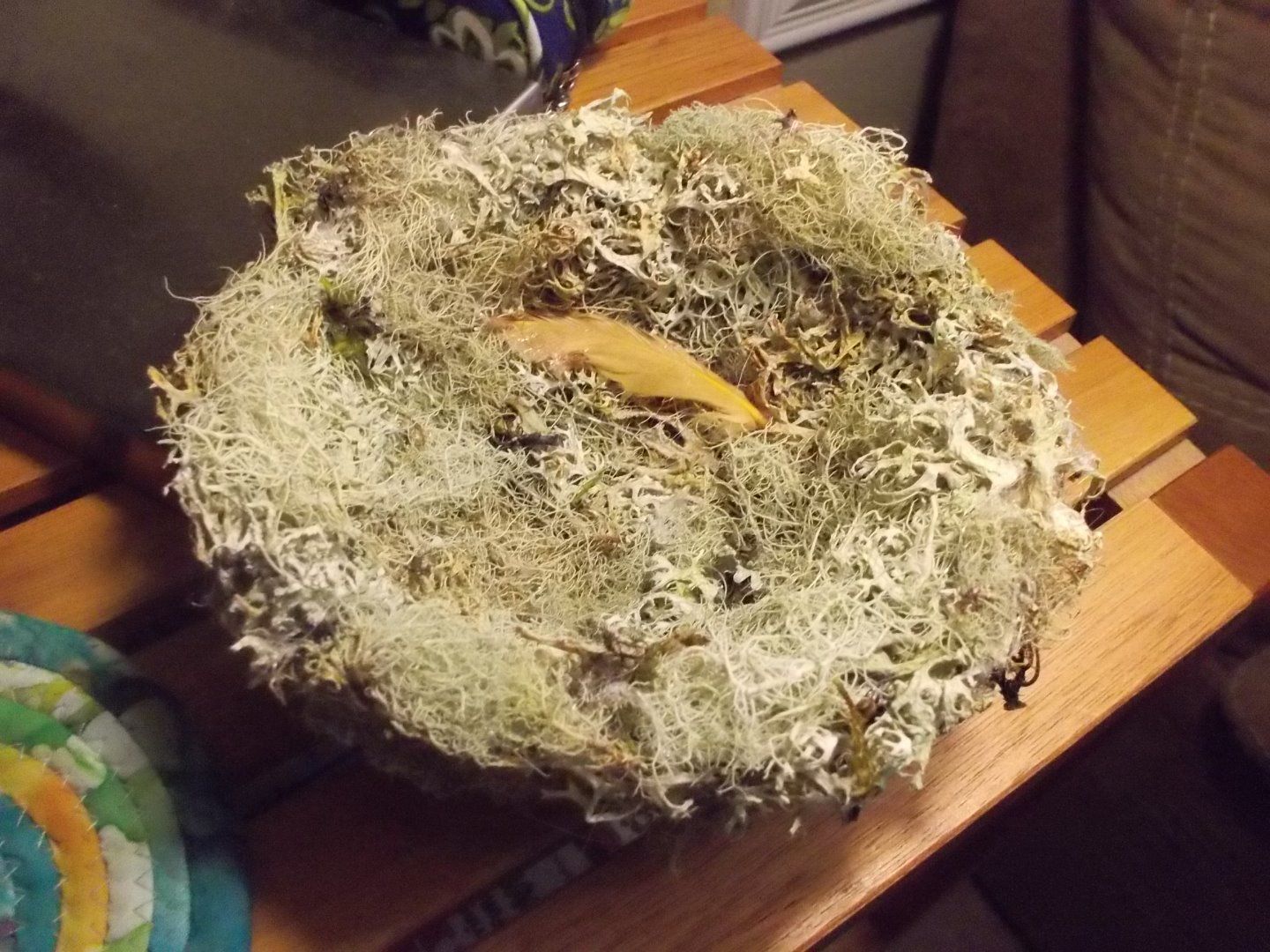 DIY Birds Nest - Instructables
