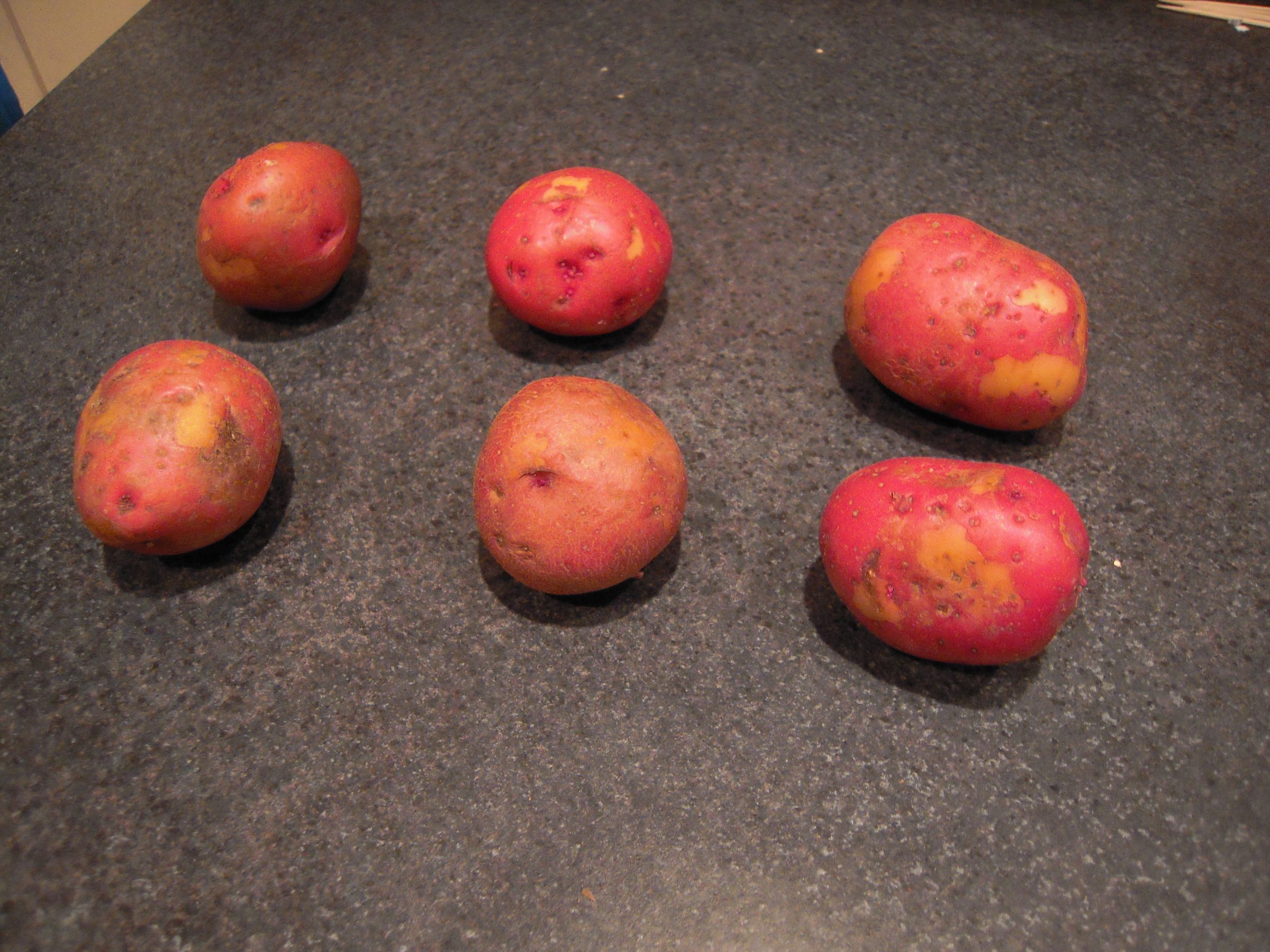 Potato on a Stick : 4 Steps (with Pictures) - Instructables