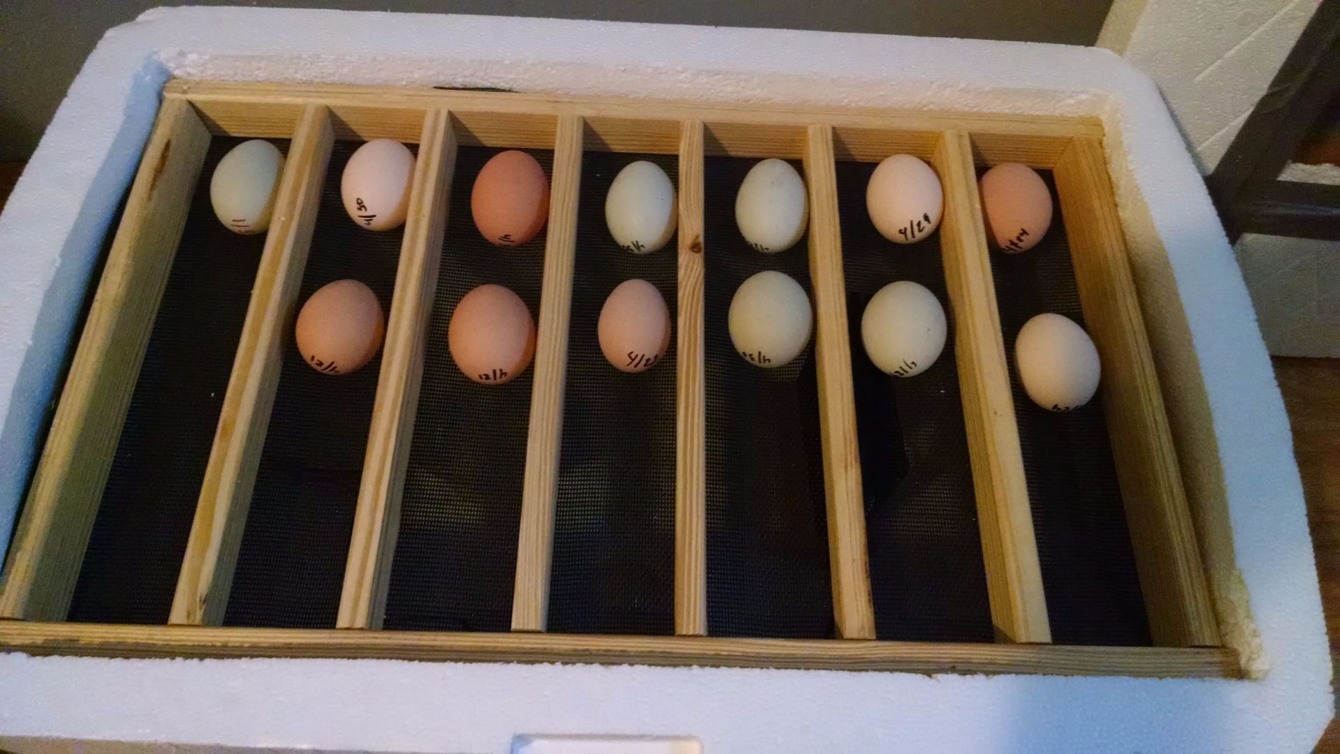 Arduino Egg Incubator : 3 Steps (with Pictures) - Instructables