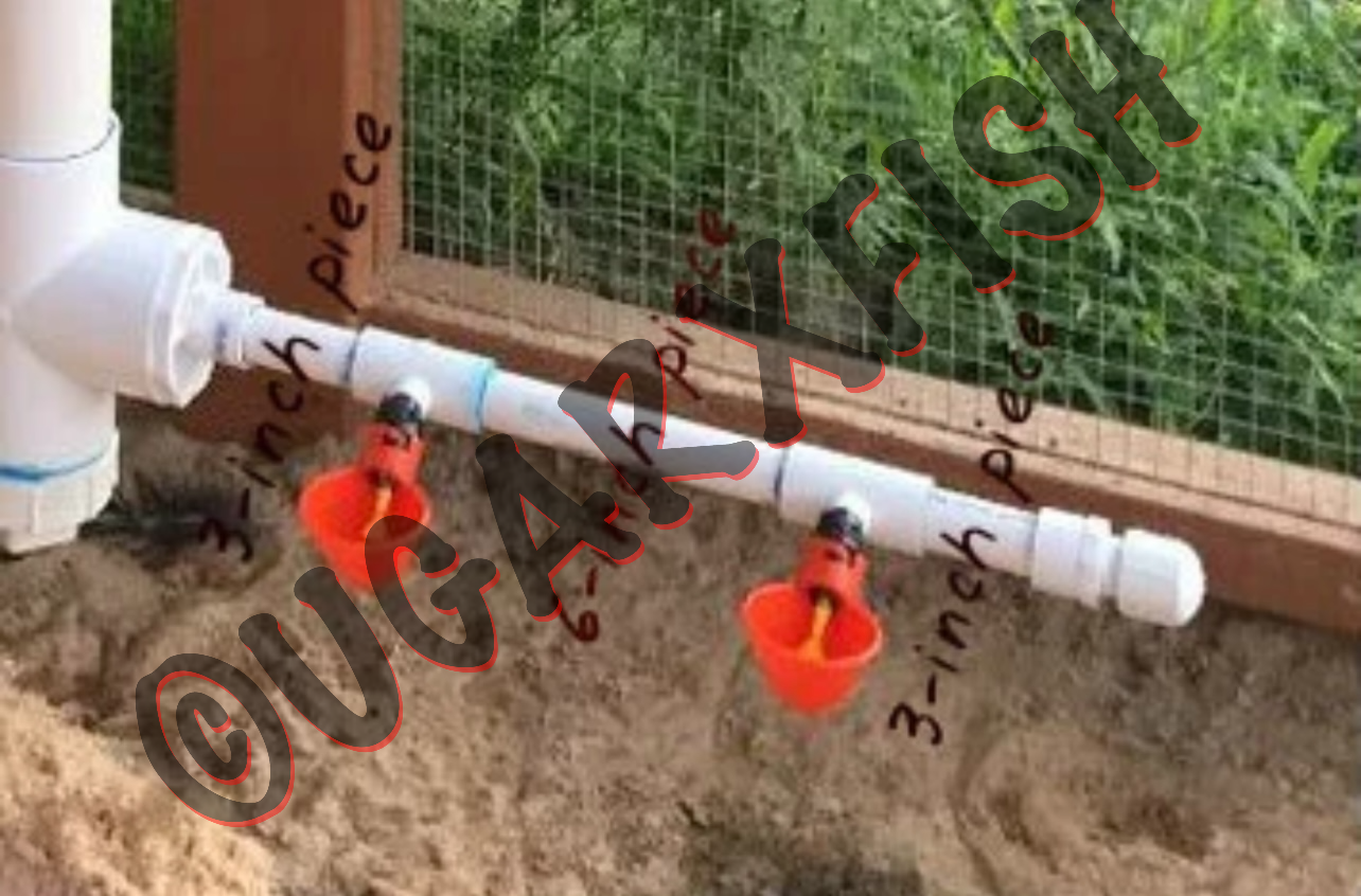 PVC Chicken Waterer : 8 Steps (with Pictures) - Instructables