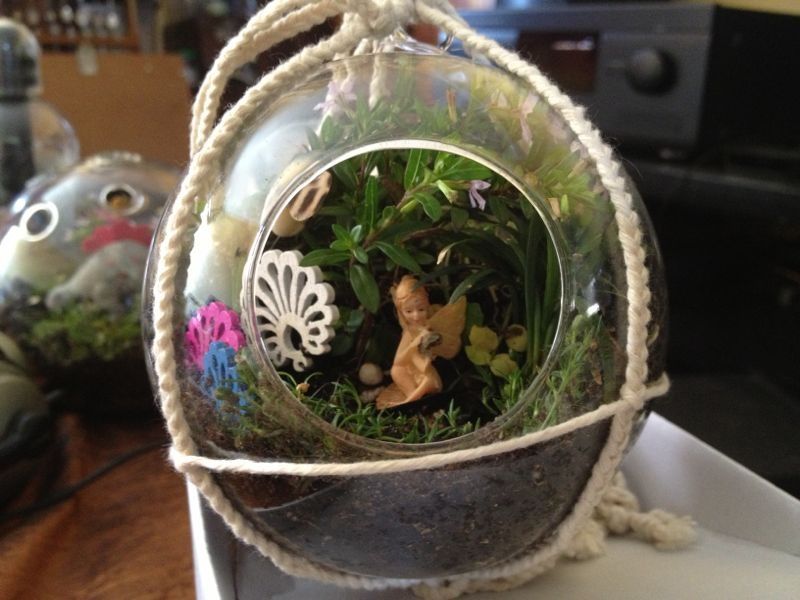 How to Make a Terrarium : 7 Steps (with Pictures) - Instructables