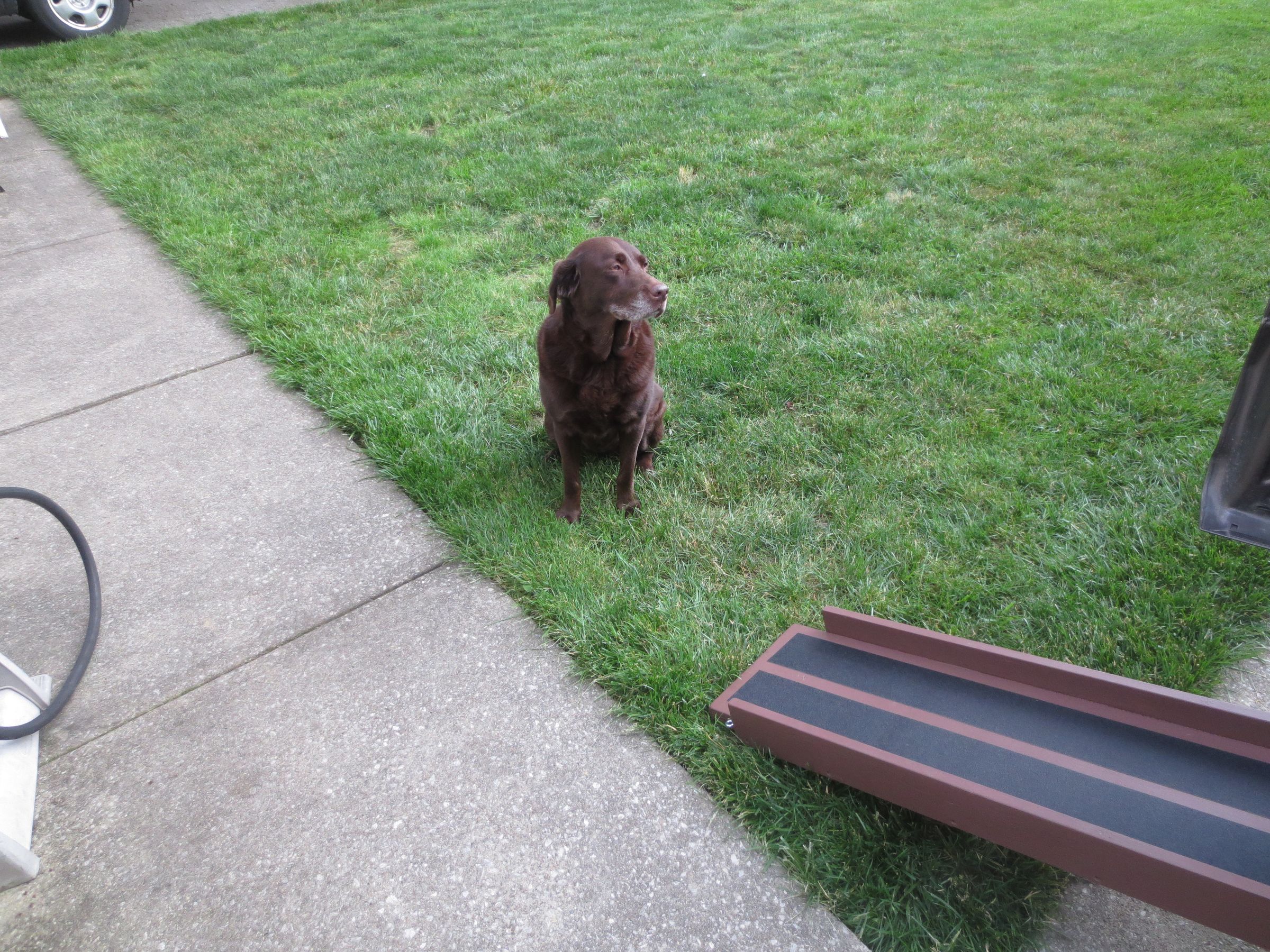 Pick Up Truck Dog Ramp and Cargo Retainer/Divider : 8 Steps (with ...