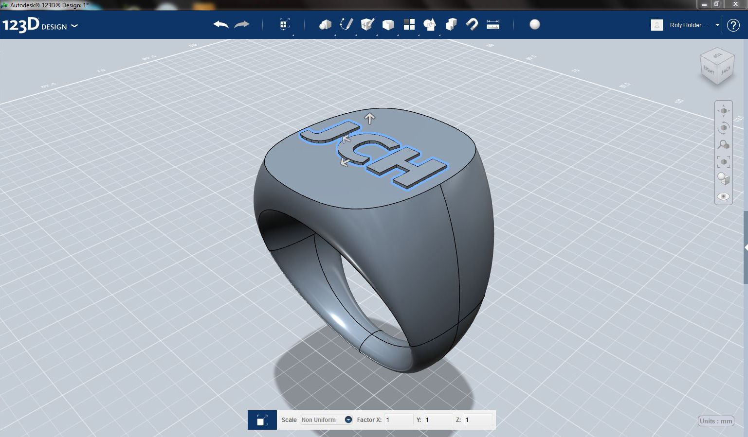 Customizable 3D Printed Ring Designs : 15 Steps (with Pictures ...