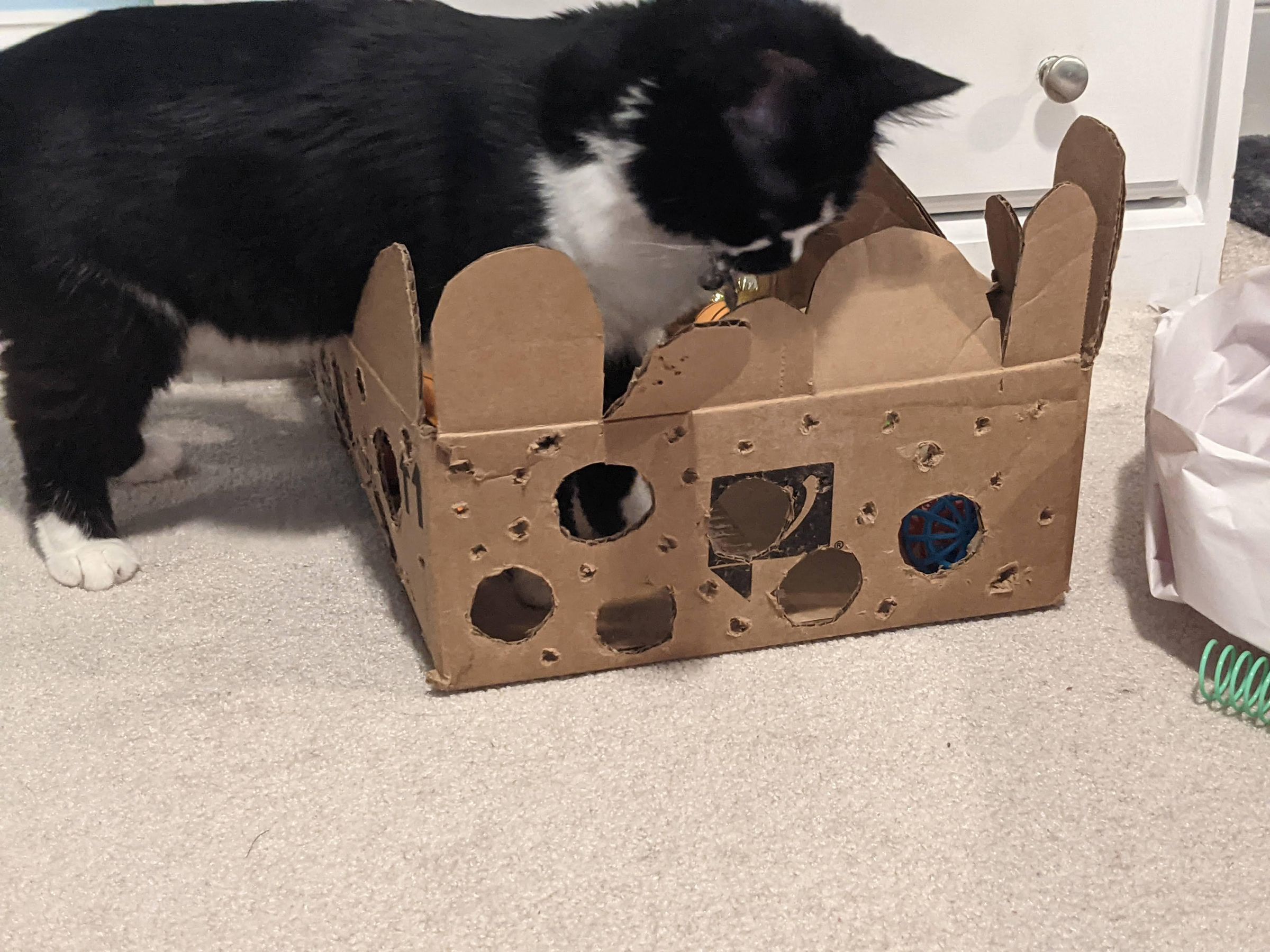Cat Puzzle Toy - Adjustable Difficulty : 11 Steps (with Pictures ...
