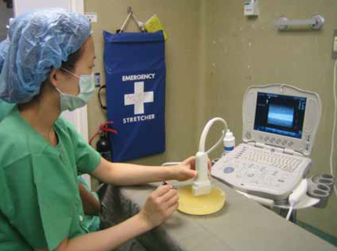 Tutorial for Silicon Phantom Simulating an Arm With Vessels for ...