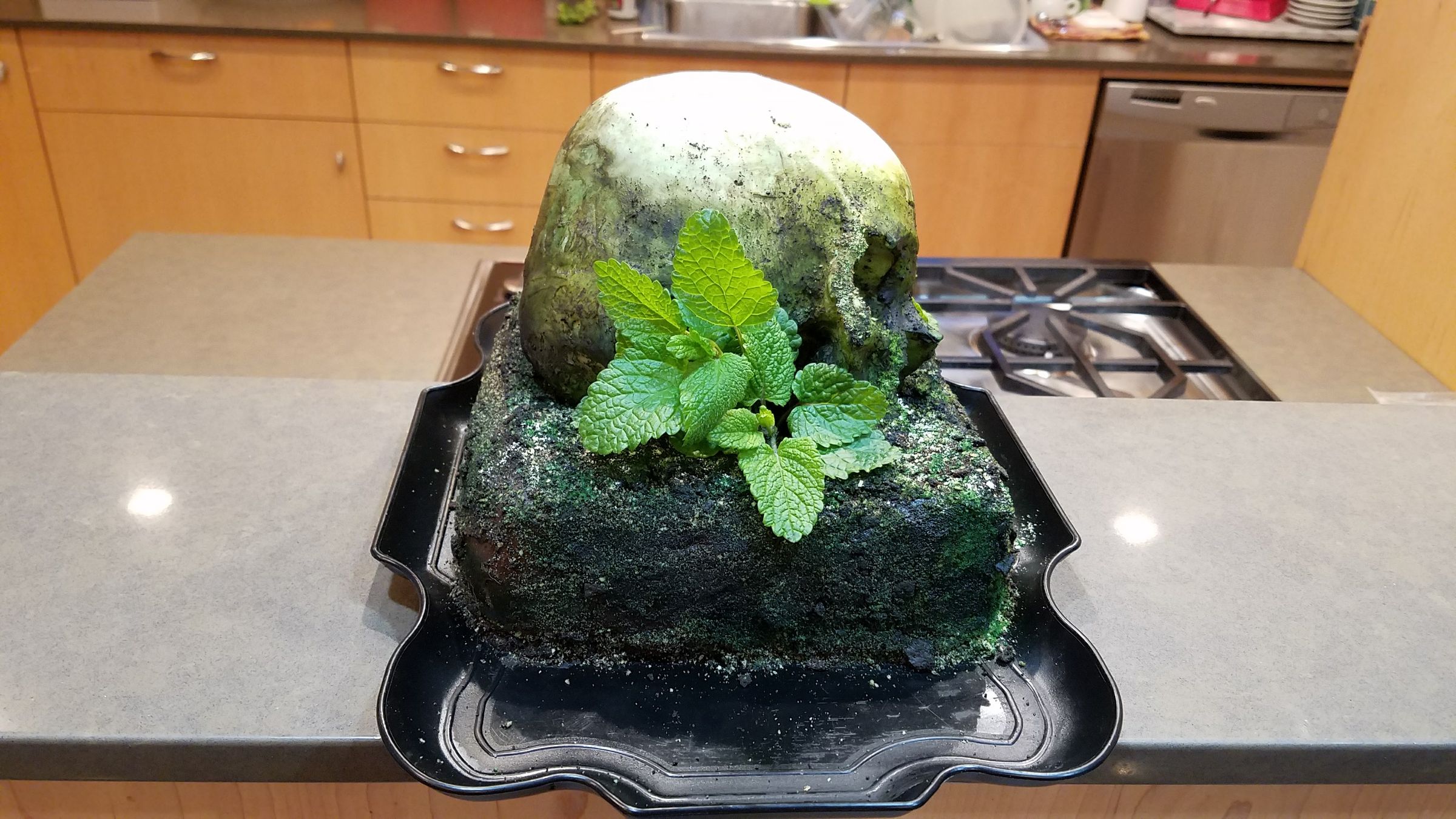 Mossy Skull Cake : 7 Steps (with Pictures) - Instructables
