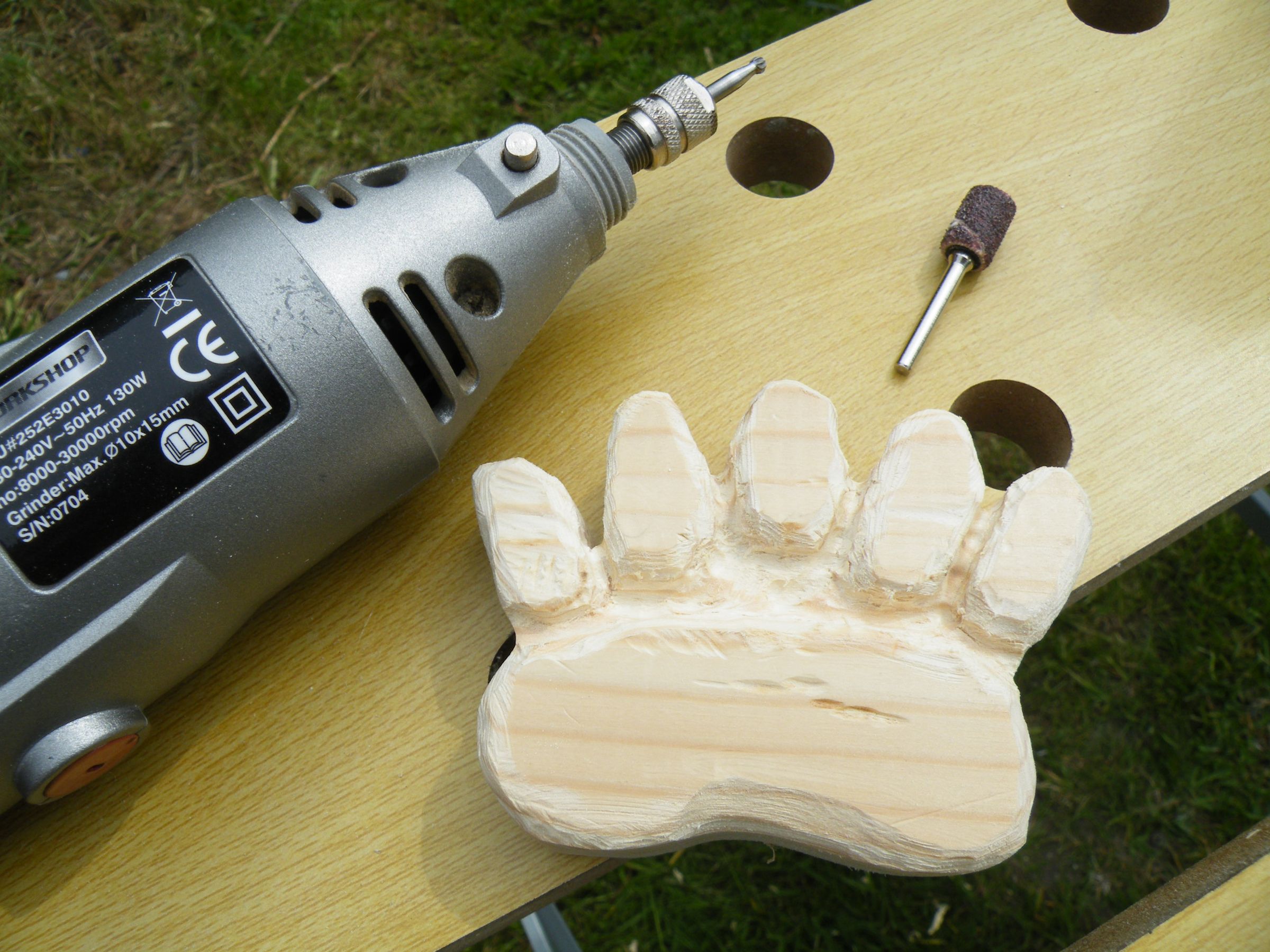 Animal Tracks for Plaster Casting. : 5 Steps (with Pictures ...