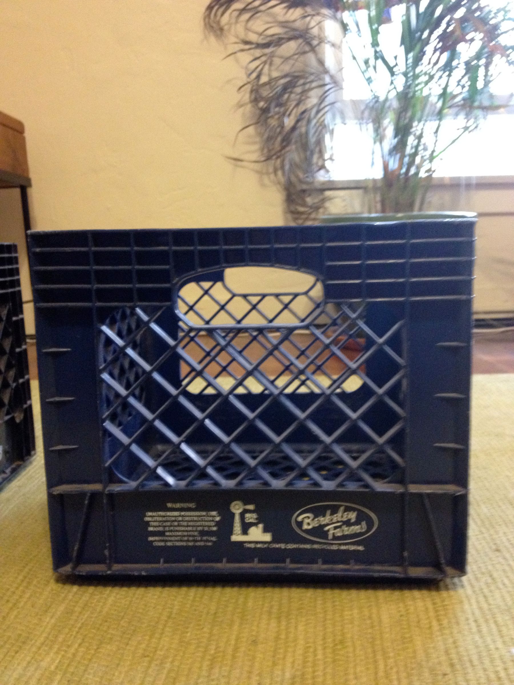 The Milk Crate Bookshelf : 4 Steps (with Pictures) - Instructables