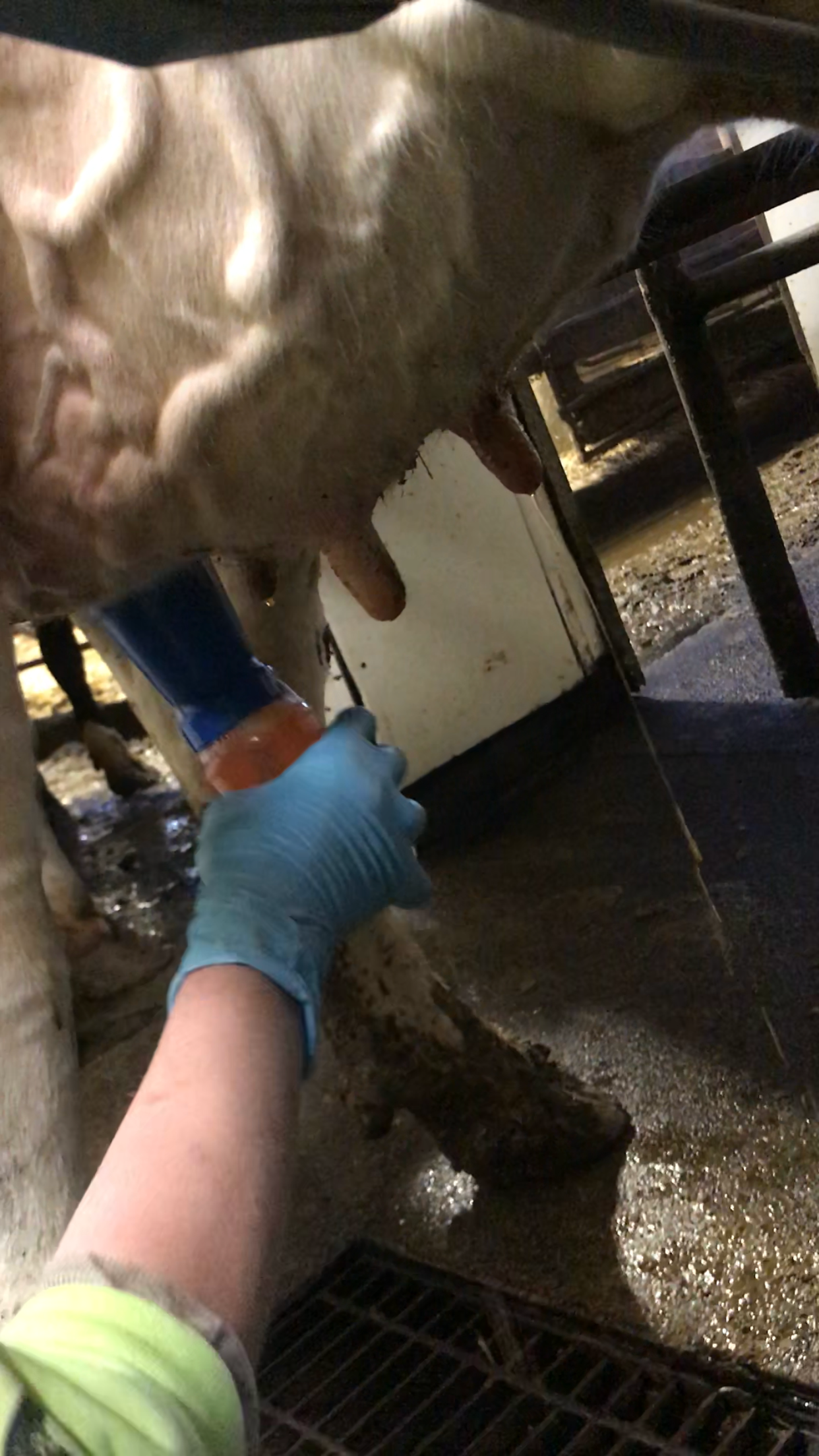 Got Milk : 7 Steps (with Pictures) - Instructables